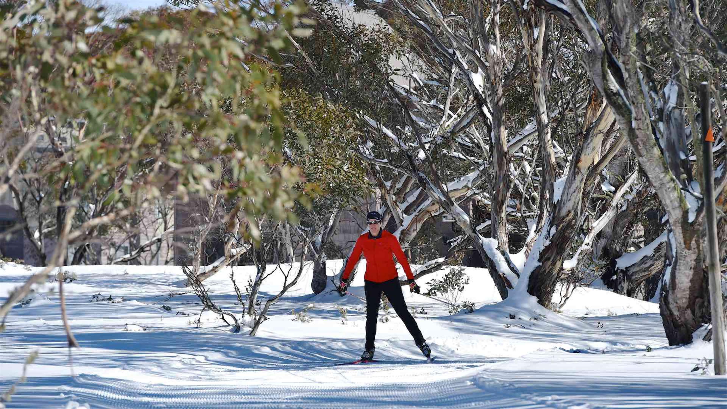 Explore the Victorian Alpines with These Bucket List Activities