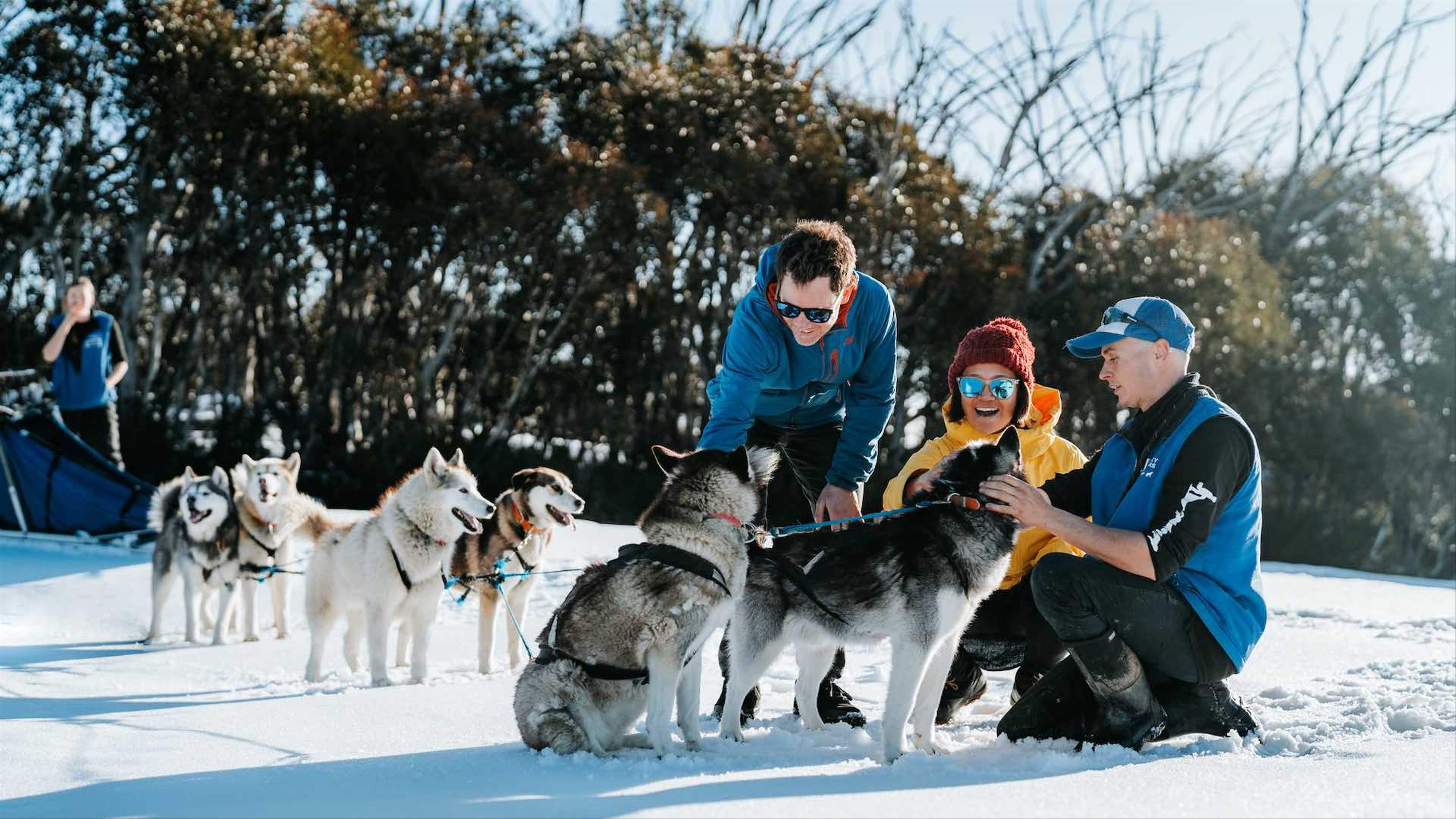 Explore the Victorian Alpines with These Bucket List Activities