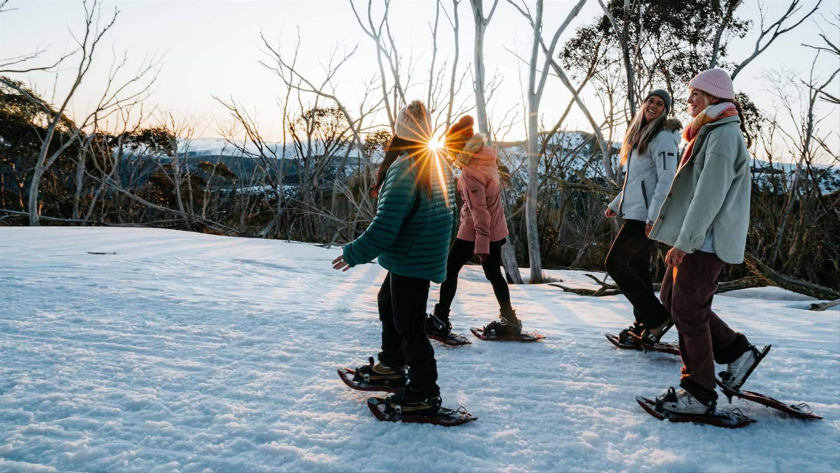 Explore the Victorian Alpines with These Bucket List Activities