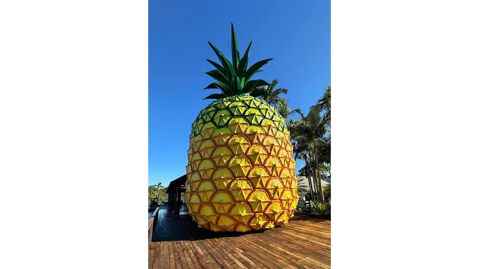 The Big Pineapple Has Reopened with a New Cafe and Viewing Platform ...