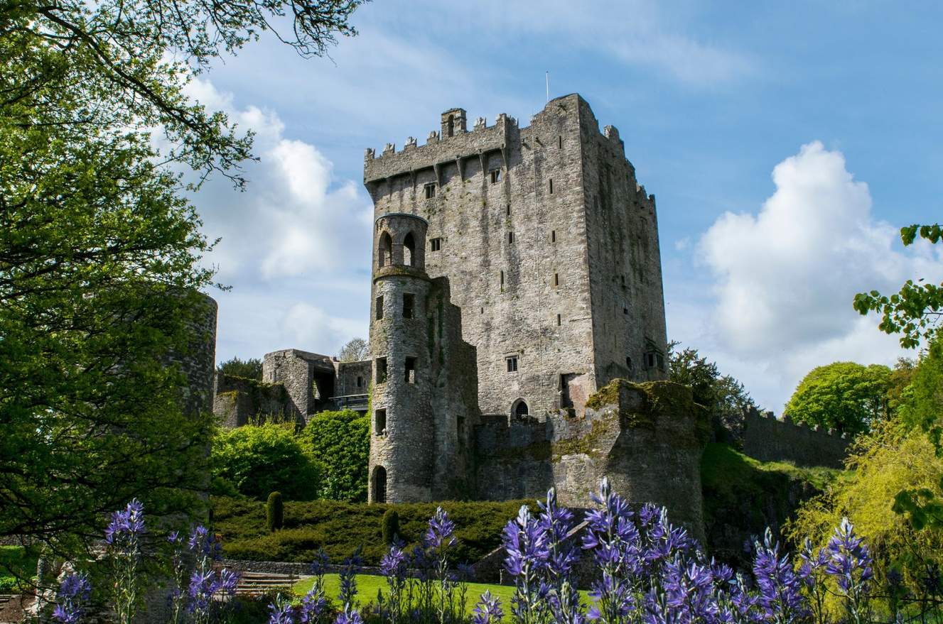Blarney Castle - Concrete Playground
