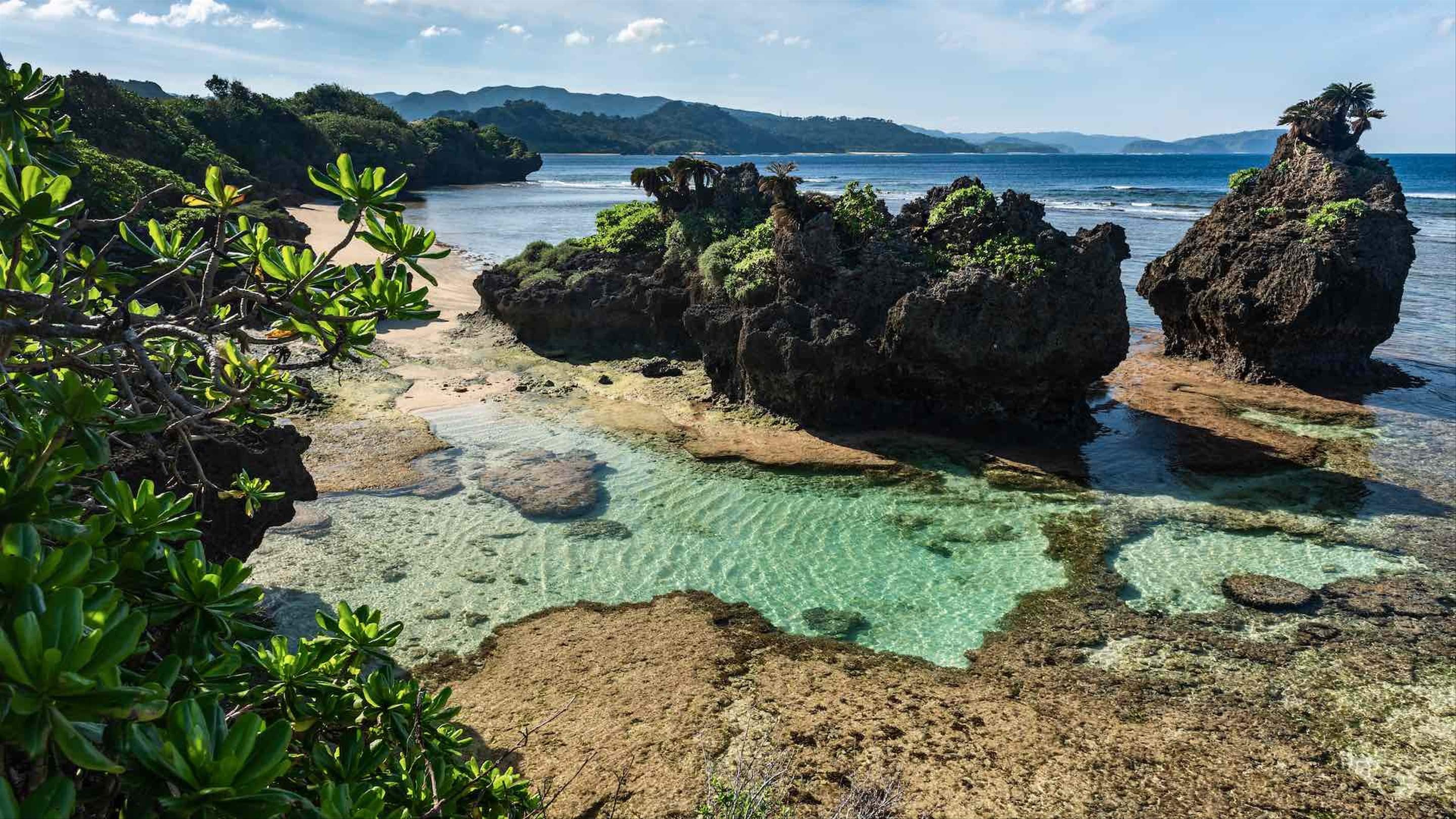 A Guide to Japan's Best Natural Sights - Concrete Playground