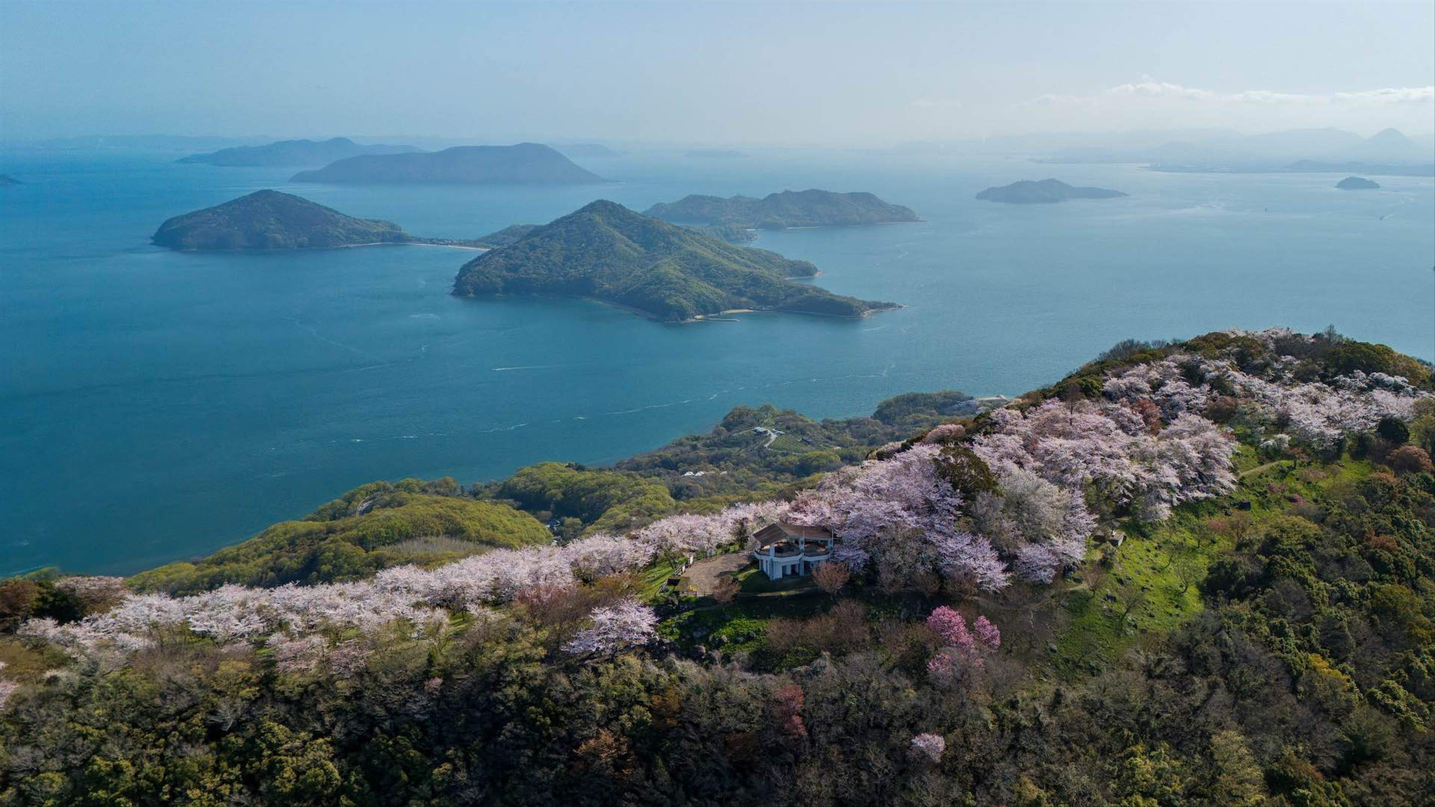 A Guide to Japan's Best Natural Sights - Concrete Playground