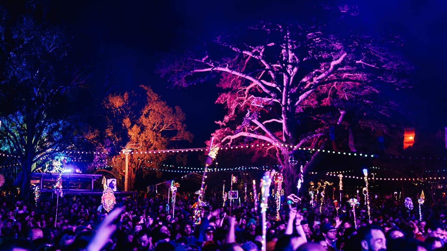 Meredith's Massive 2024 Lineup Will Get You Dancing to Jamie xx ...