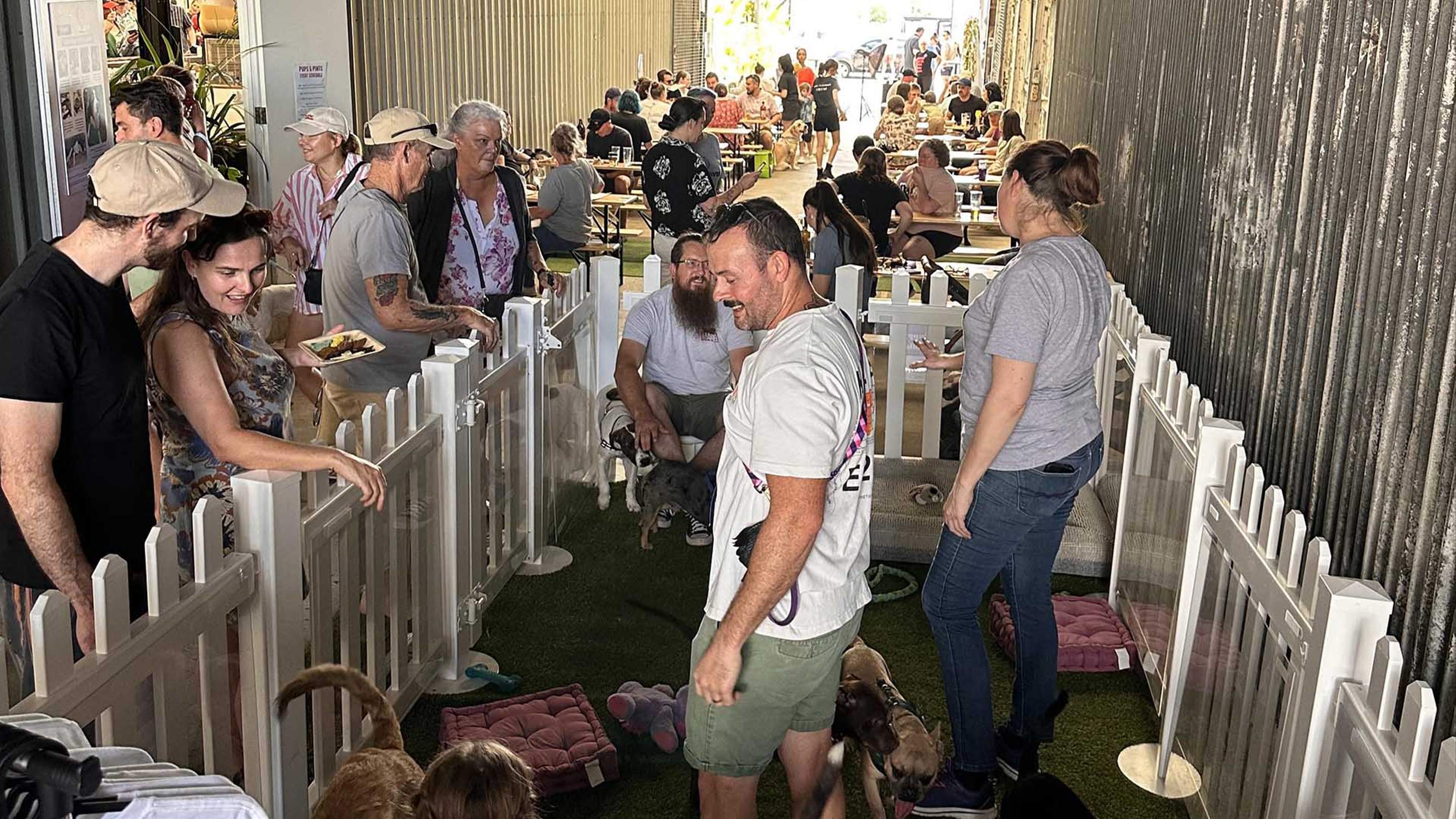 Pups and Pints at Brewdog DogTap Brisbane: All the Details