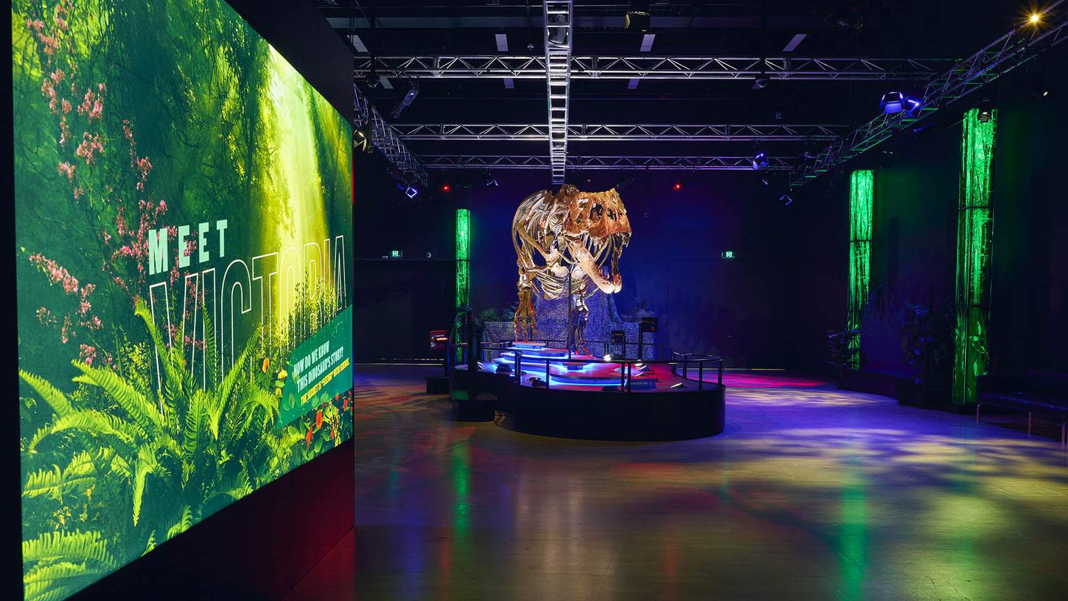 Now Open: The Largest and Most-Complete Tyrannosaurus Rex Fossil Ever ...
