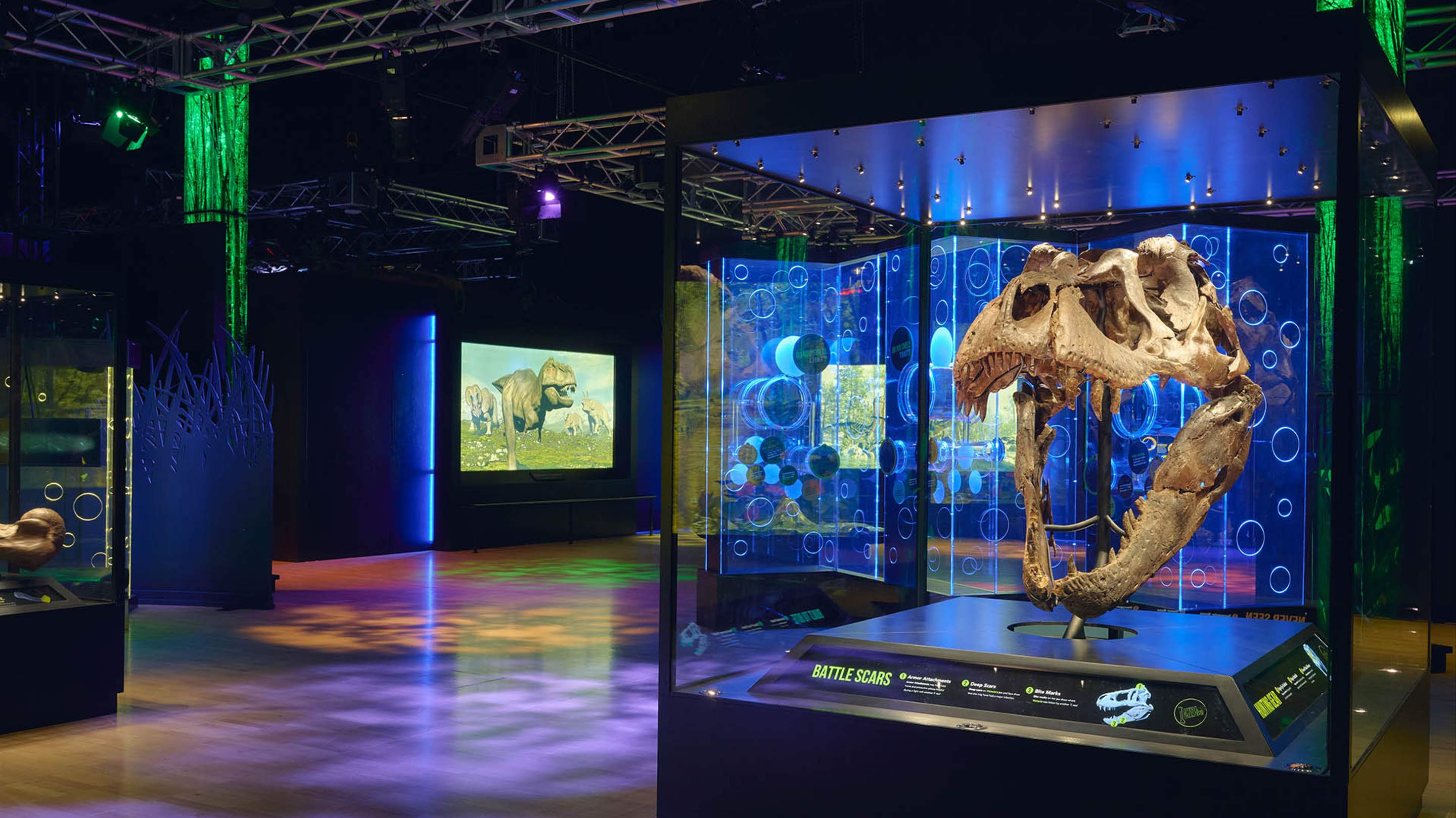Now Open: The Largest and Most-Complete Tyrannosaurus Rex Fossil Ever ...