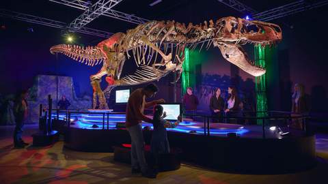 Now Open: The Largest and Most-Complete Tyrannosaurus Rex Fossil Ever ...