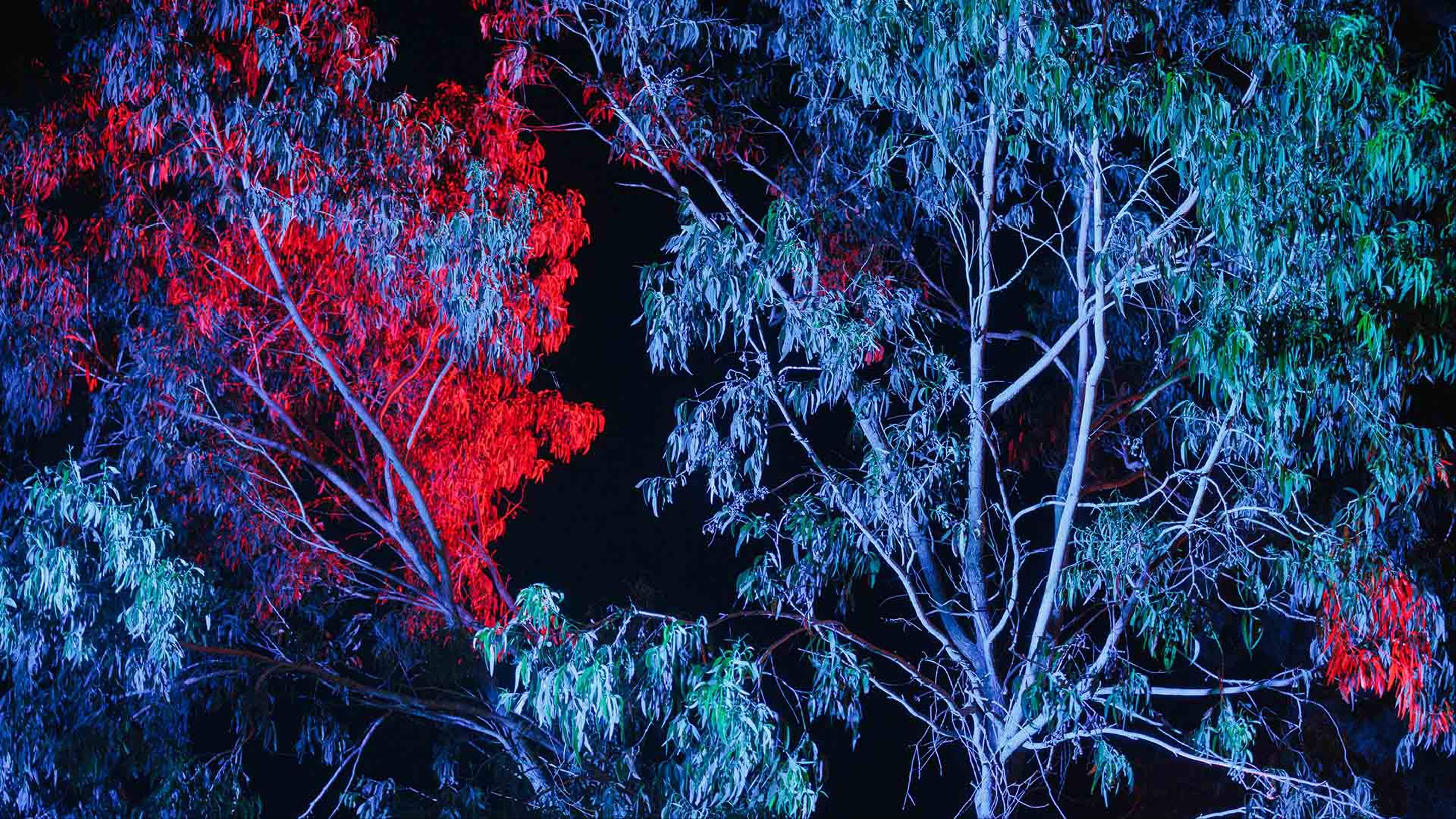 It's That Time Again: Golden Plains Has Opened the Ticket Ballot for ...