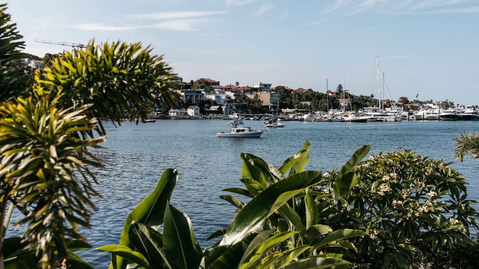 Toast to Spring with Month-Long Rosé Celebrations at The Boathouse Rose ...