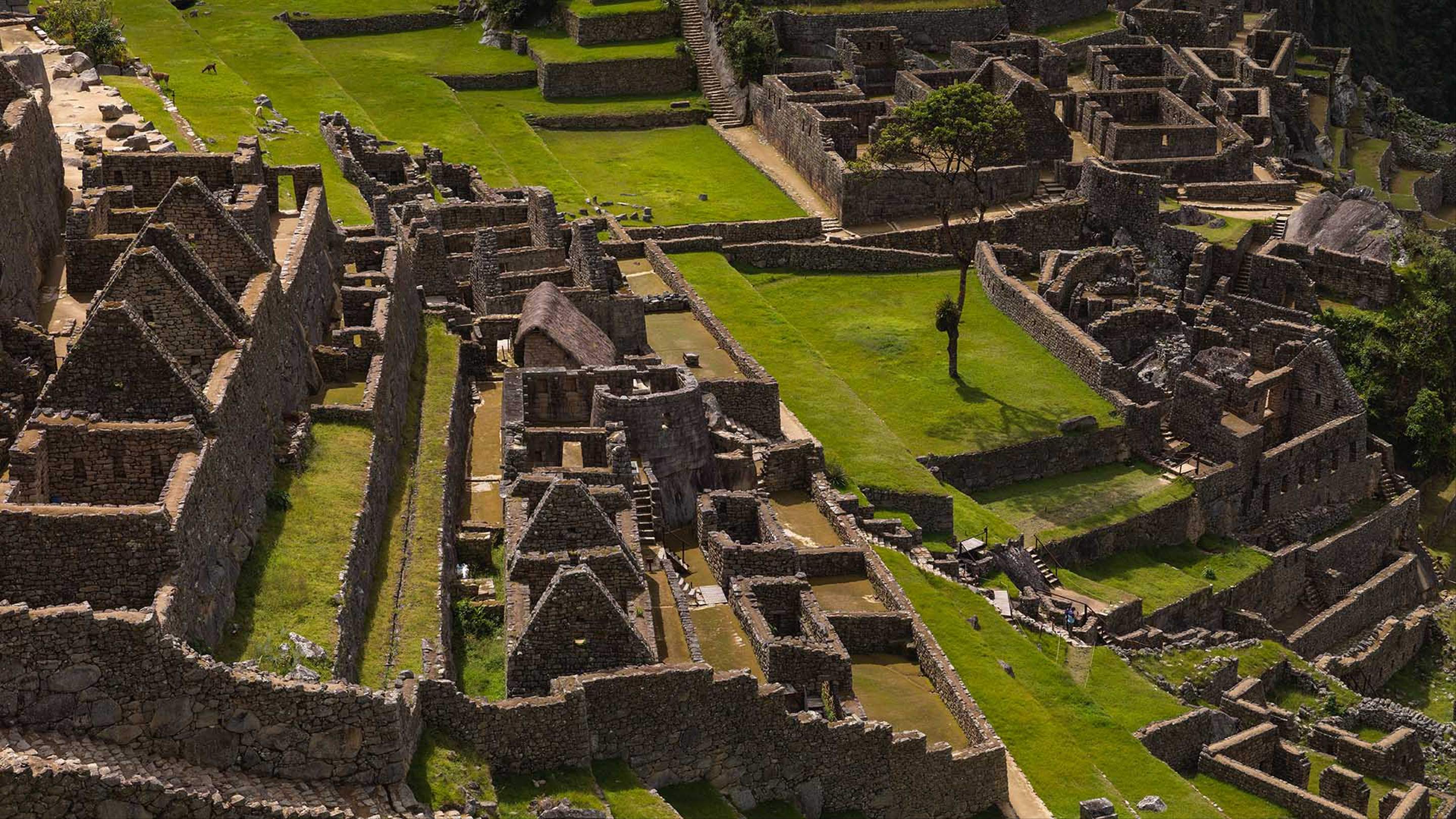 Must-See Exhibition 'Machu Picchu and the Golden Empires of Peru' Is ...