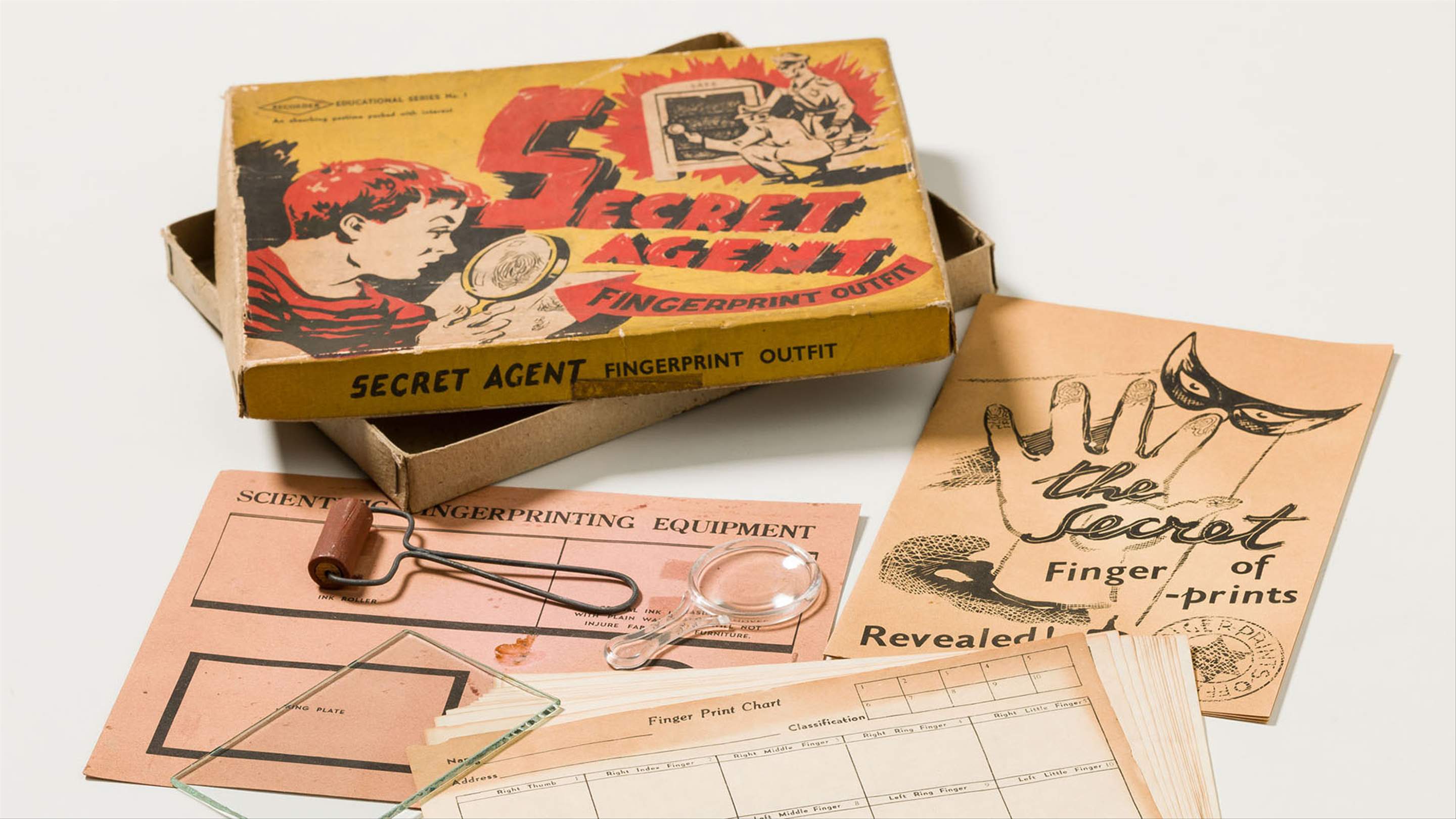 Coming Soon: Queensland Museum Is Dedicating an Exhibition to Secrets ...