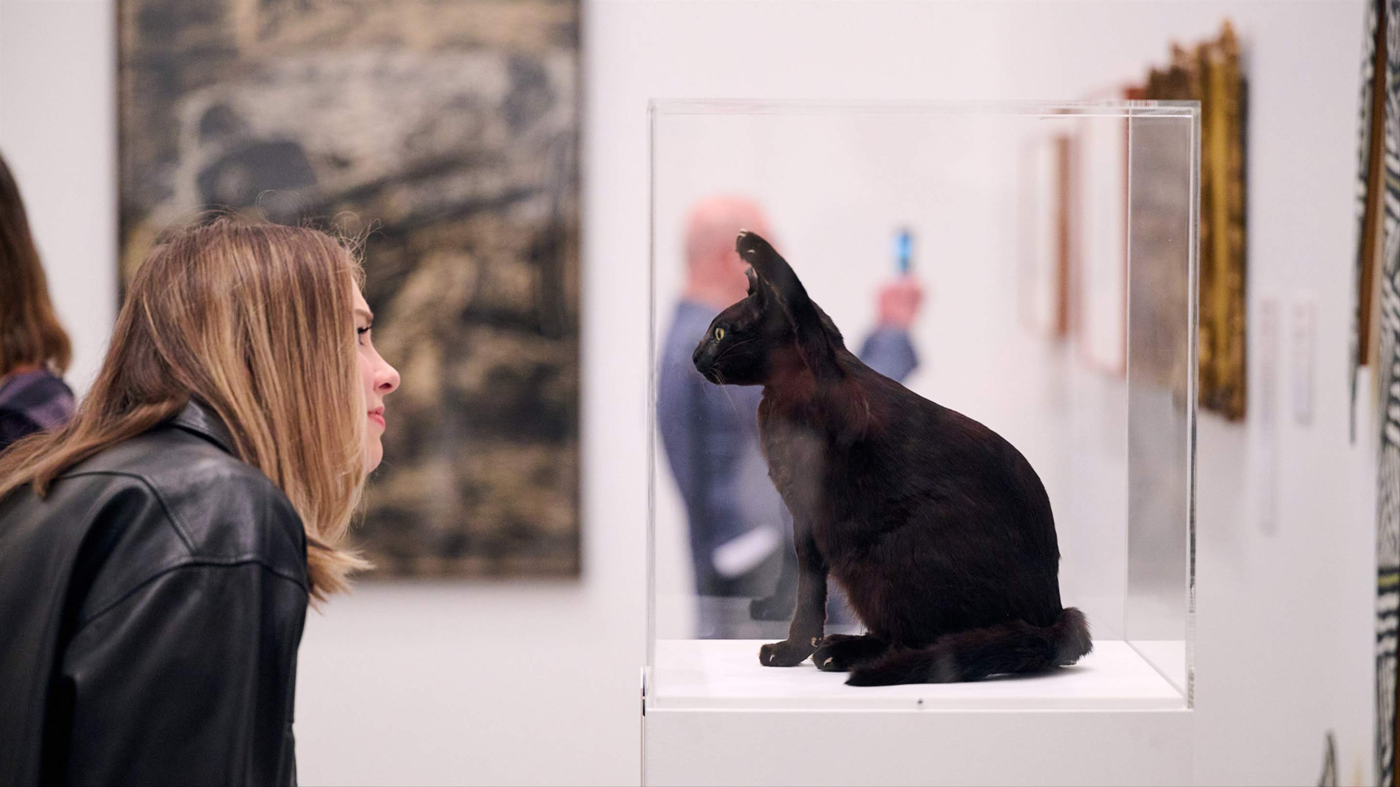 Now Open: NGV Australia's 'Cats & Dogs' Exhibition Agrees That There's ...