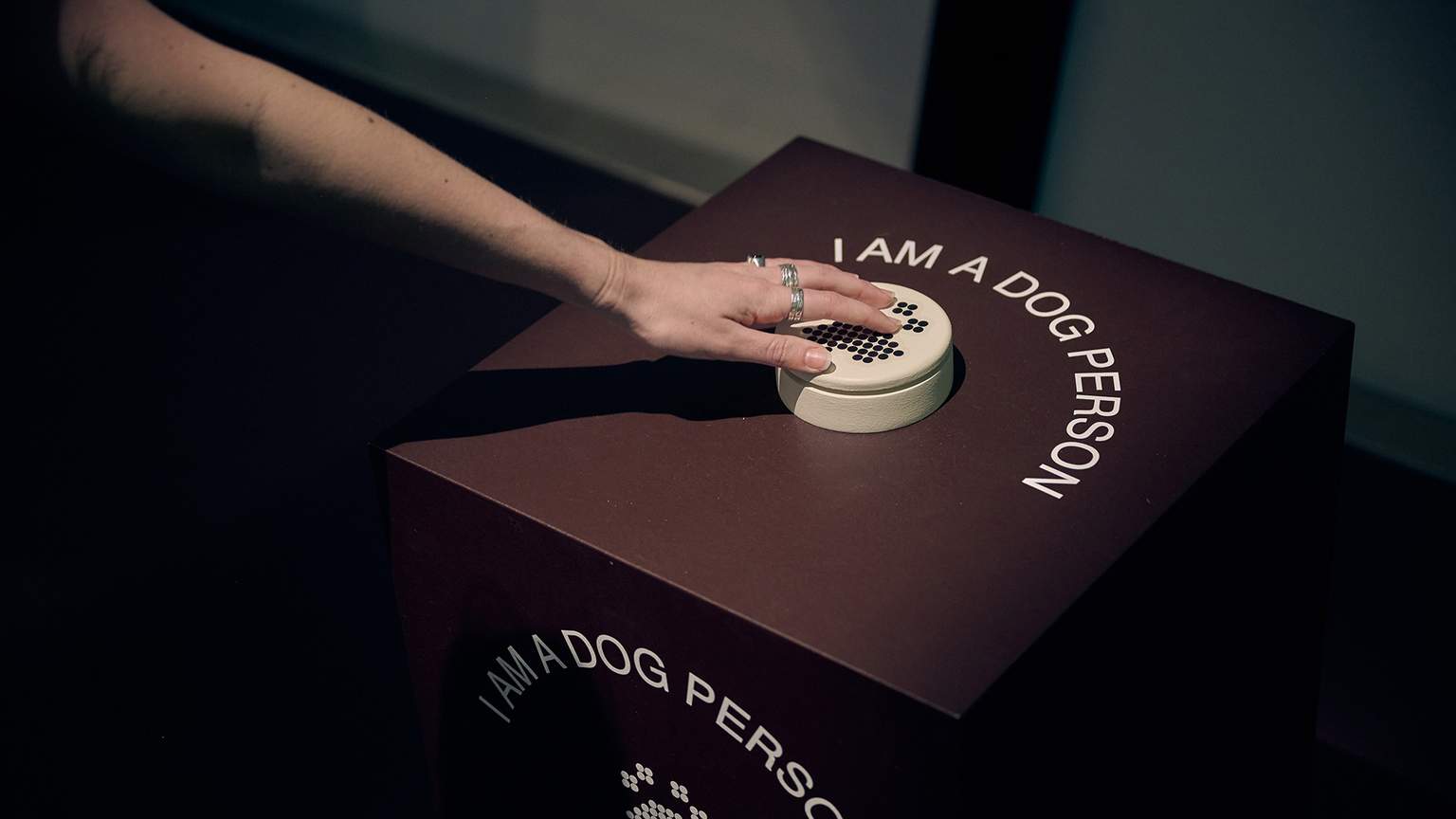 Now Open: NGV Australia's 'Cats & Dogs' Exhibition Agrees That There's ...