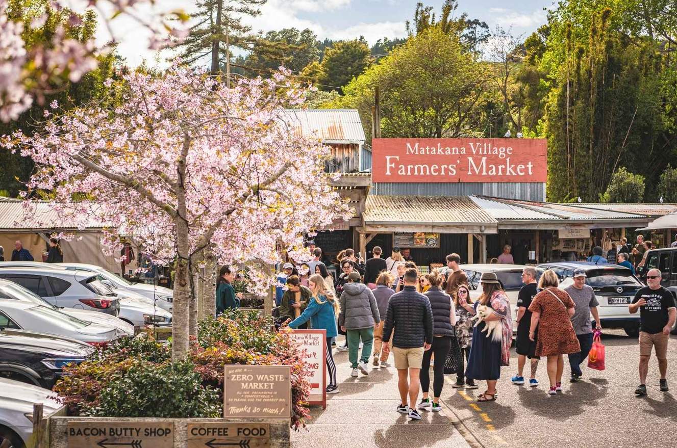 Matakana Village Farmers' Market - Concrete Playground