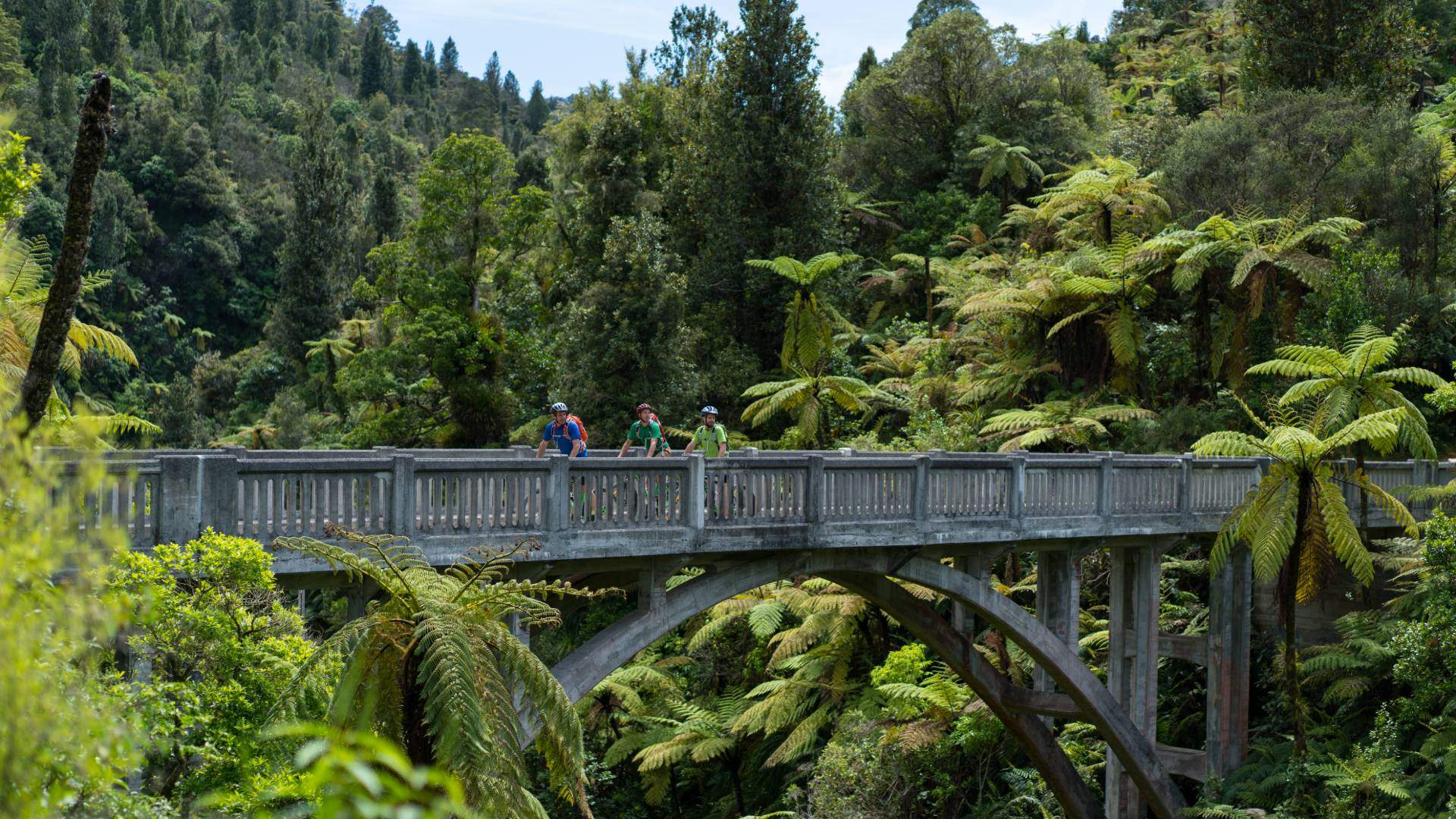 Whanganui National Park's Bridge to Nowhere - Concrete Playground