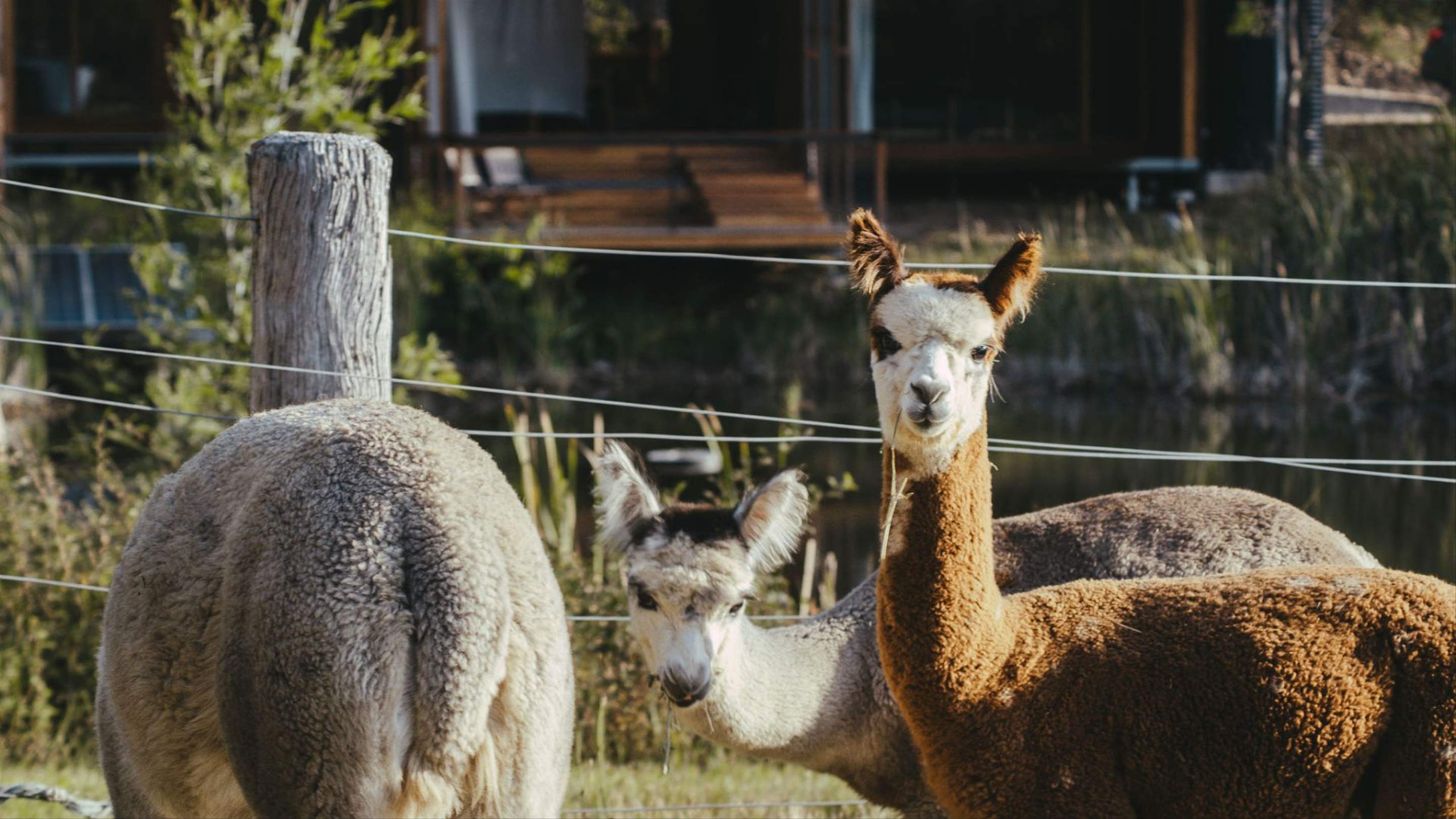 Now Open: You Can Escape the Grind at Little Valley Summerhouse, the ...
