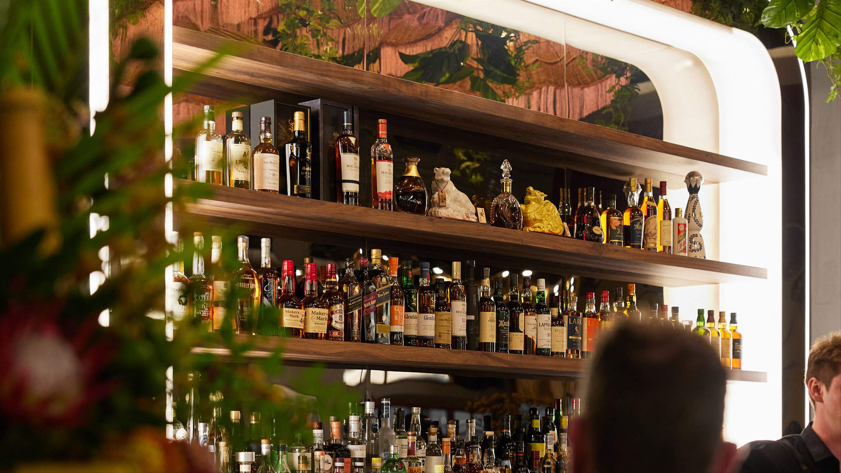 Luc Lac, Brisbane City Review