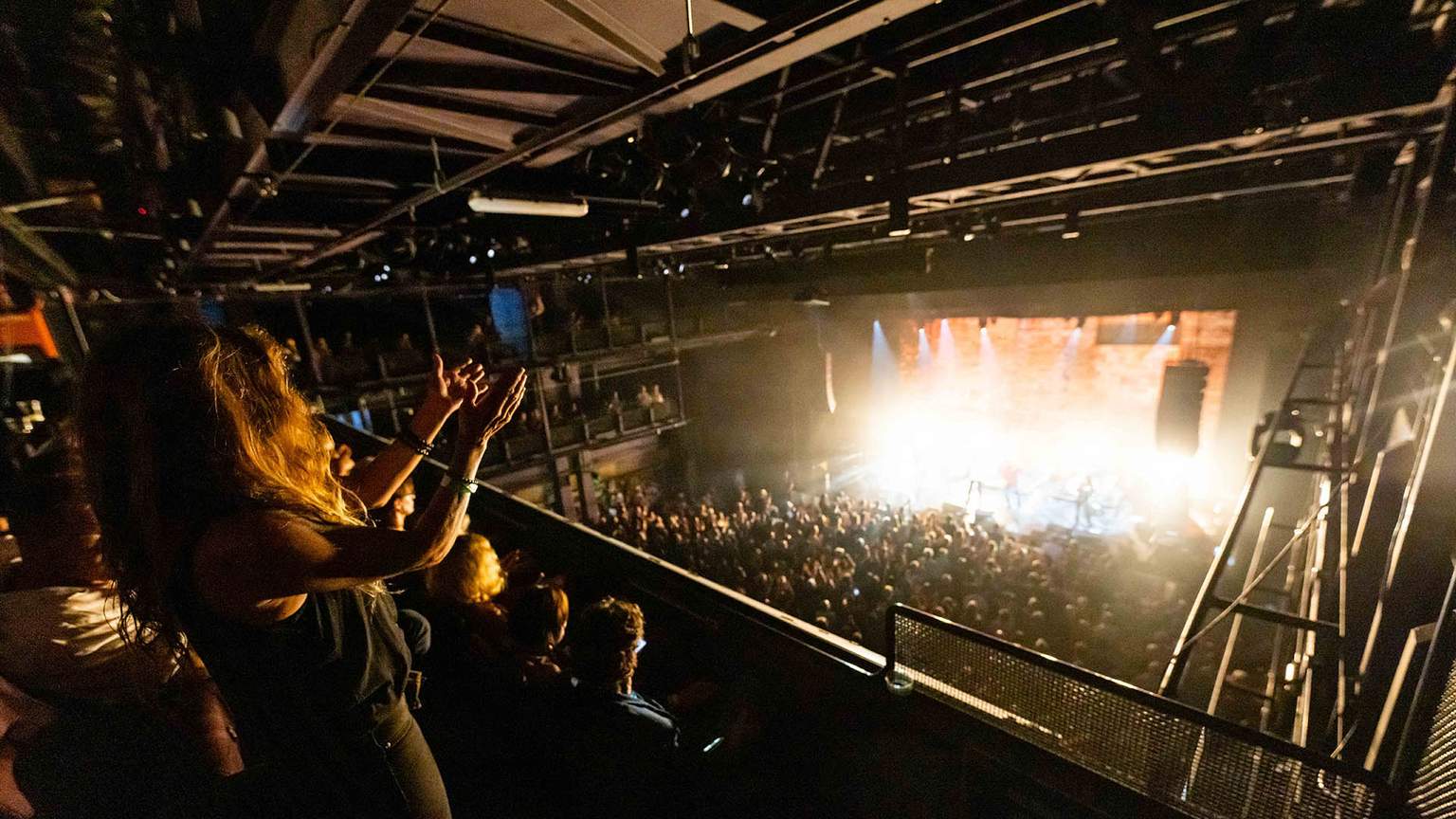 From King Stingray to Brisbane's Largest Neuro-Inclusive Silent Disco ...
