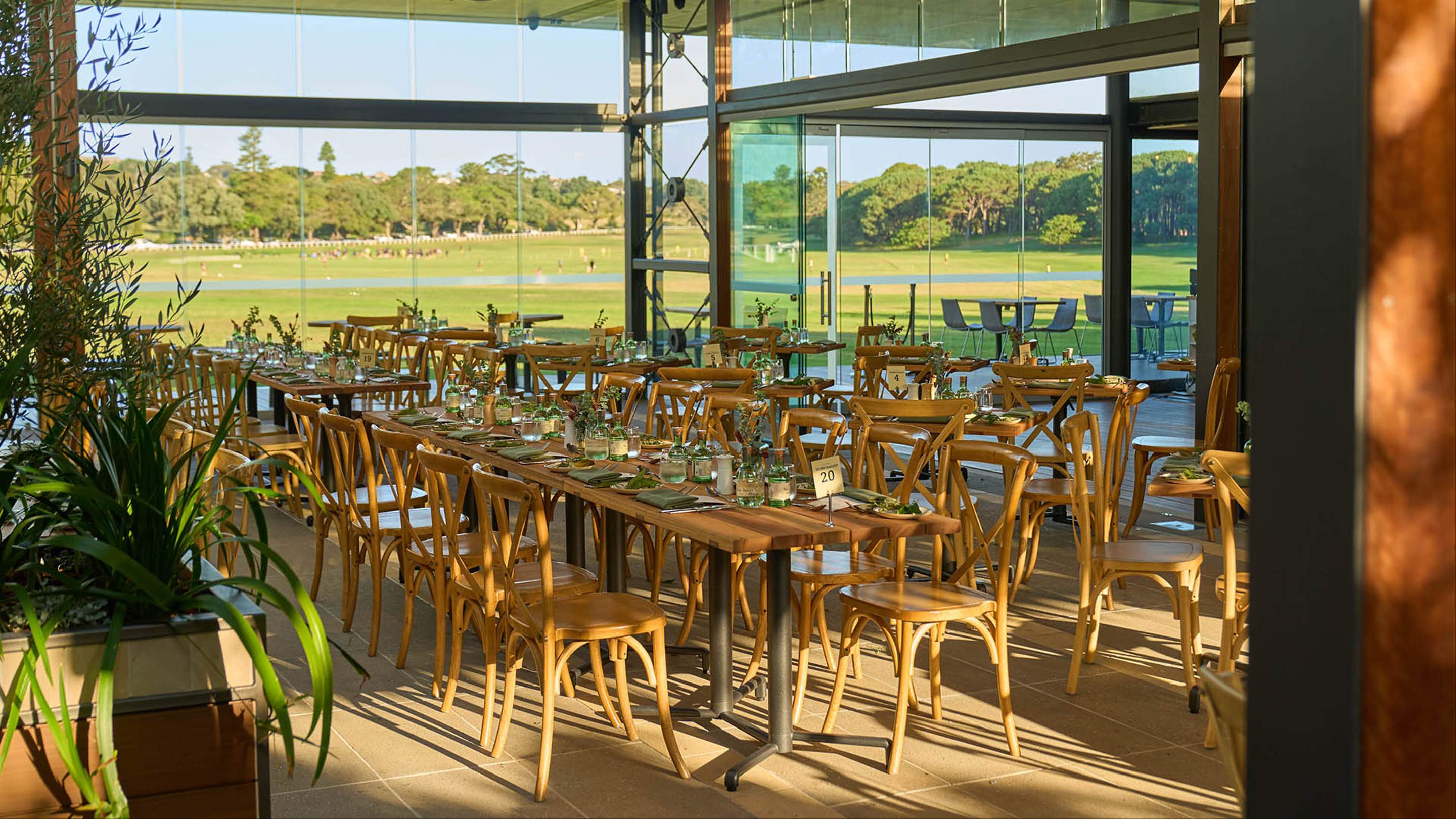 Now Open: The Paddock and Treehouse Rooftop Bar Are Centennial ...