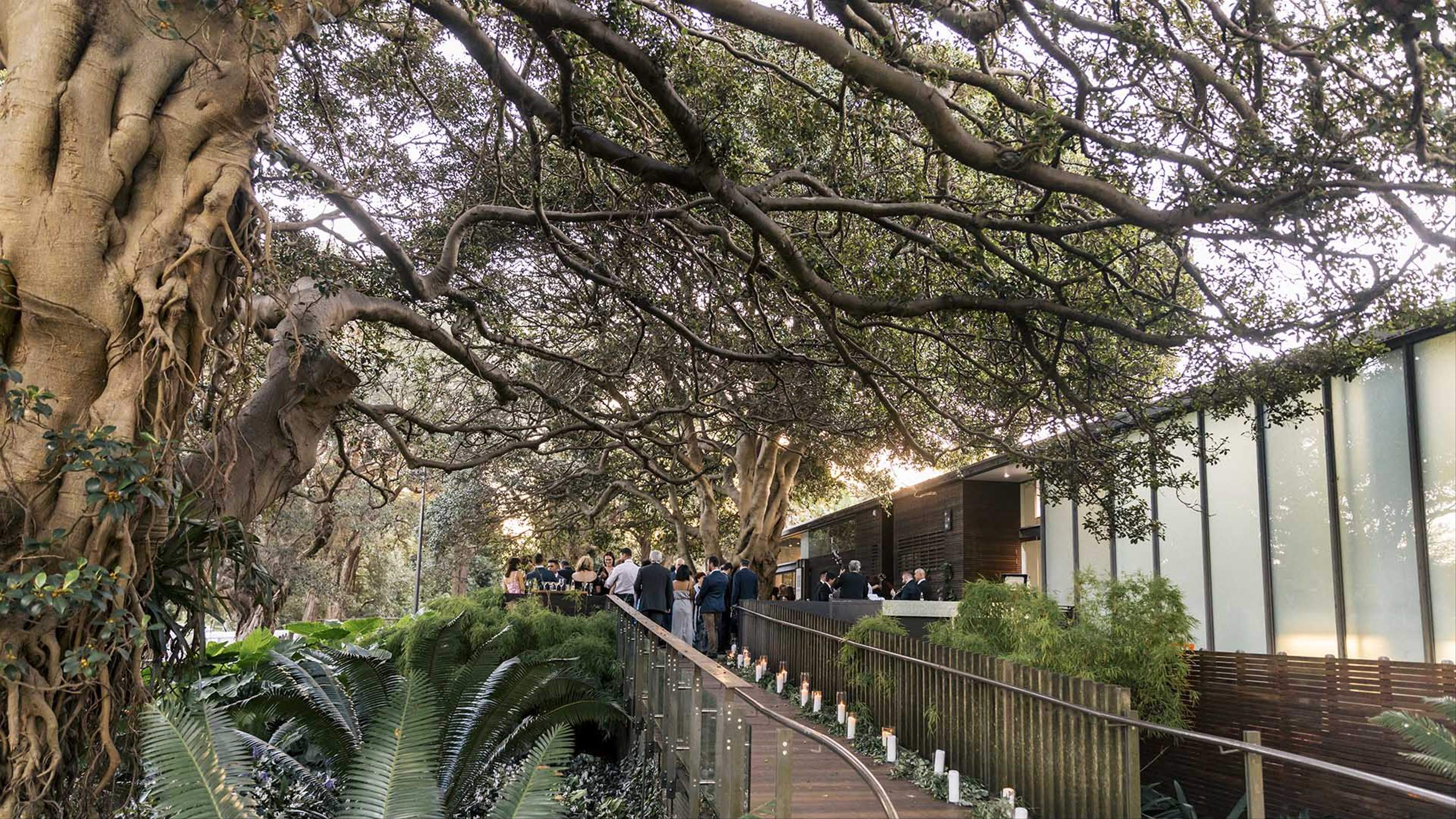 Now Open: The Paddock and Treehouse Rooftop Bar Are Centennial ...