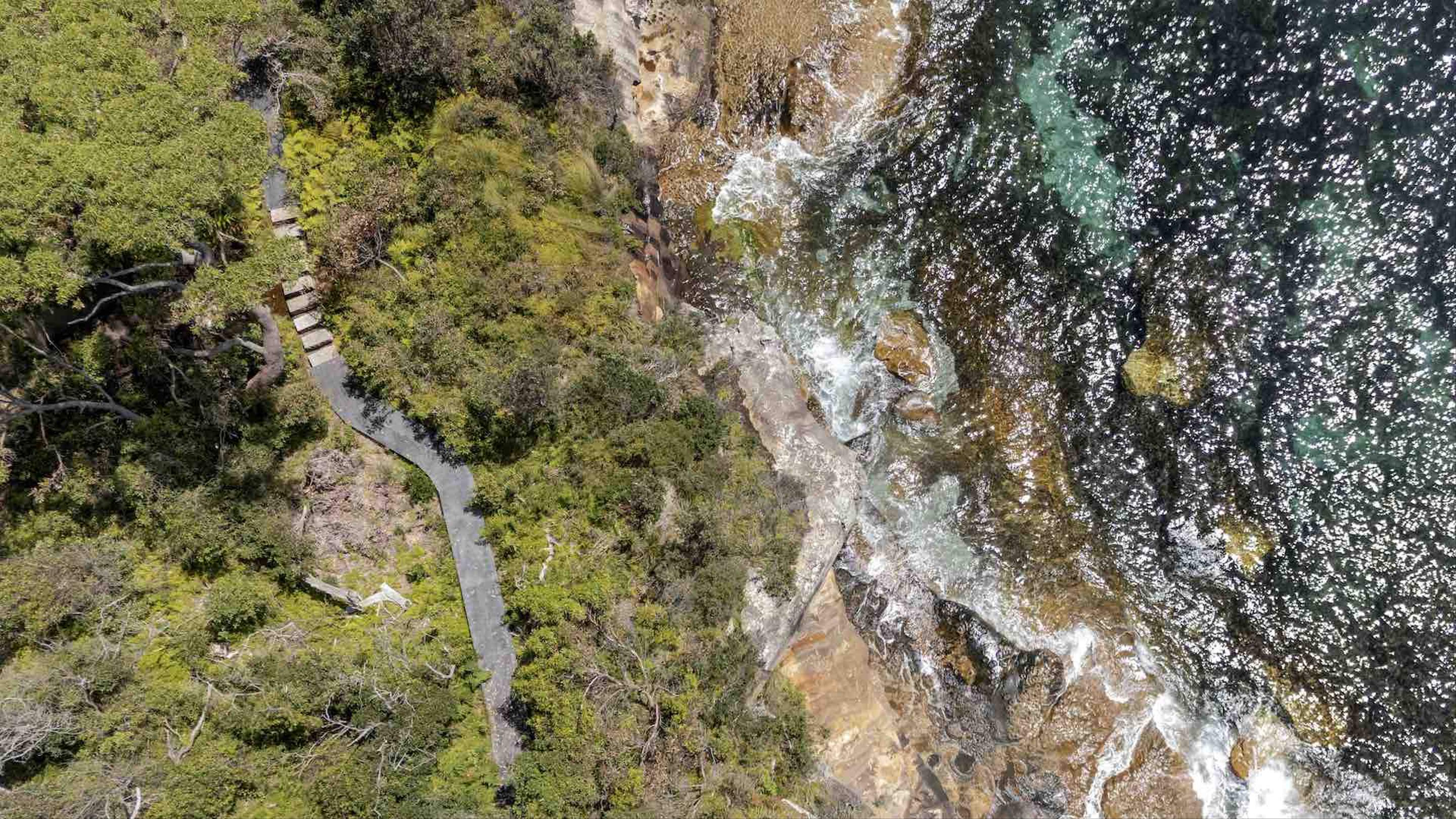 This New Sydney Walking Track Showcases Unspoiled Harbour Views and ...