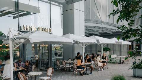 Now Open: Anita Gelato Has Brought Its Hefty Scoops (and Over 150 ...