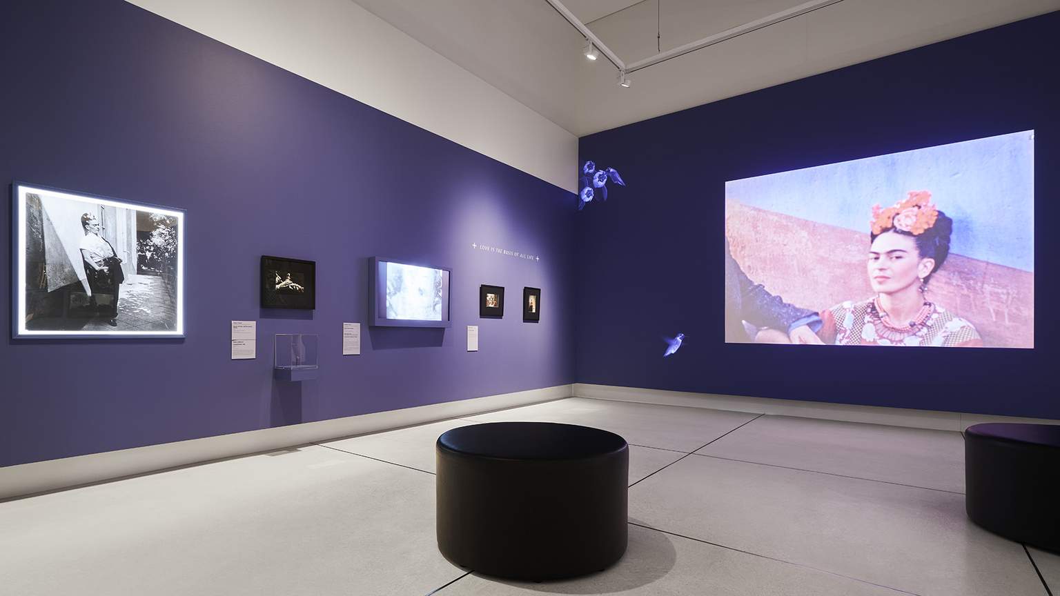 Now Open: 'Frida Kahlo: In Her Own Image' Has Arrived Down Under to ...