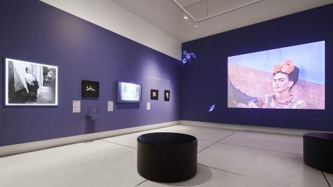 Now Open: 'Frida Kahlo: In Her Own Image' Has Arrived Down Under to ...
