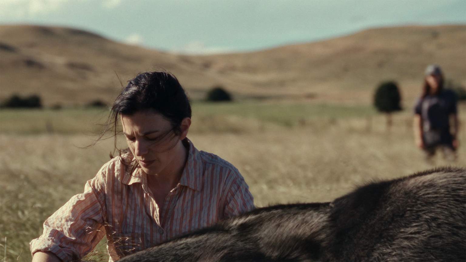 Farewelling 'Succession', Then Returning to Australian Cinema in a ...