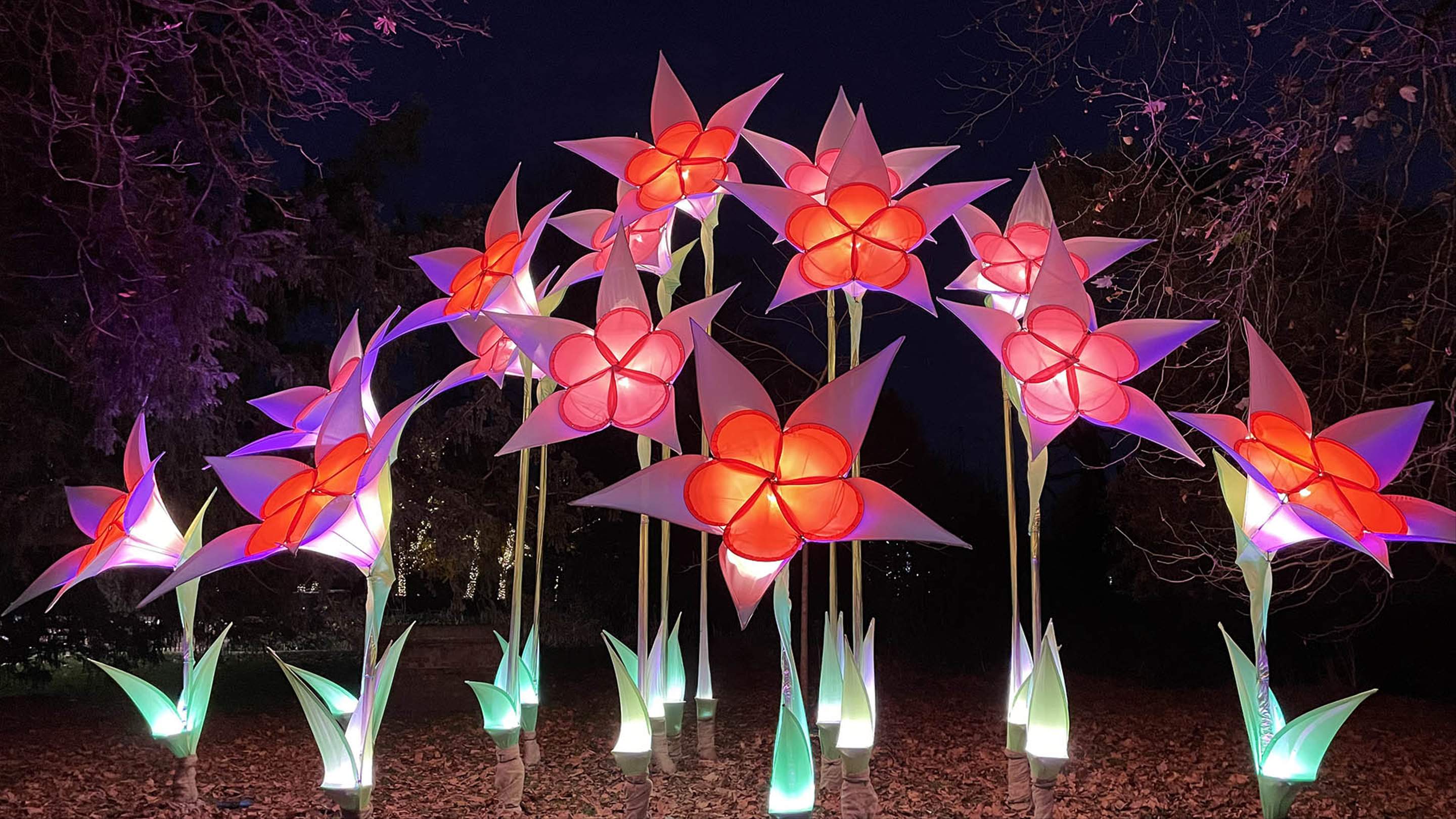 Lightscape Melbourne: All the Details