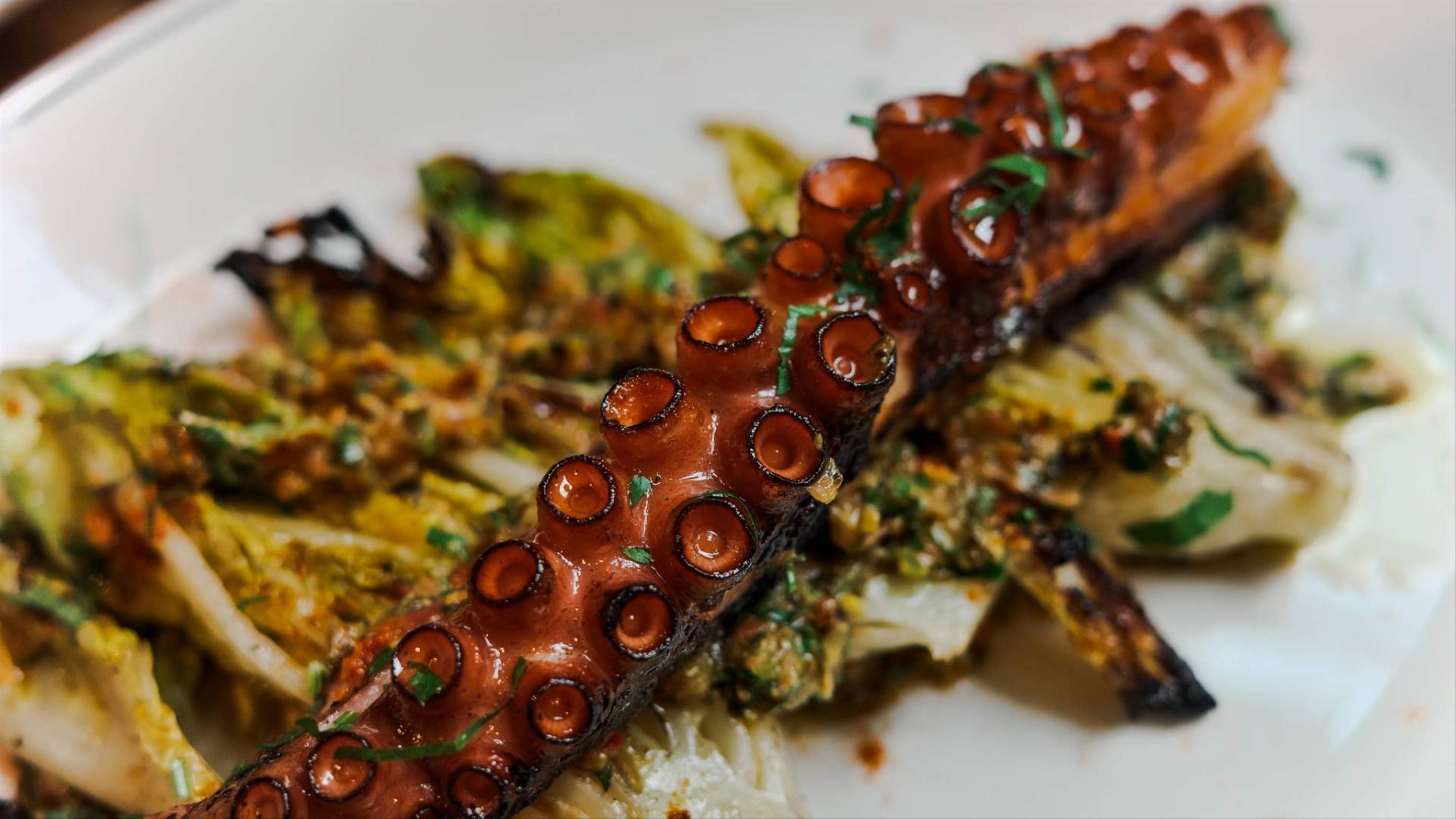 Now Open: CANESS Is the New Paddington Eatery That's Combining Upbeat ...