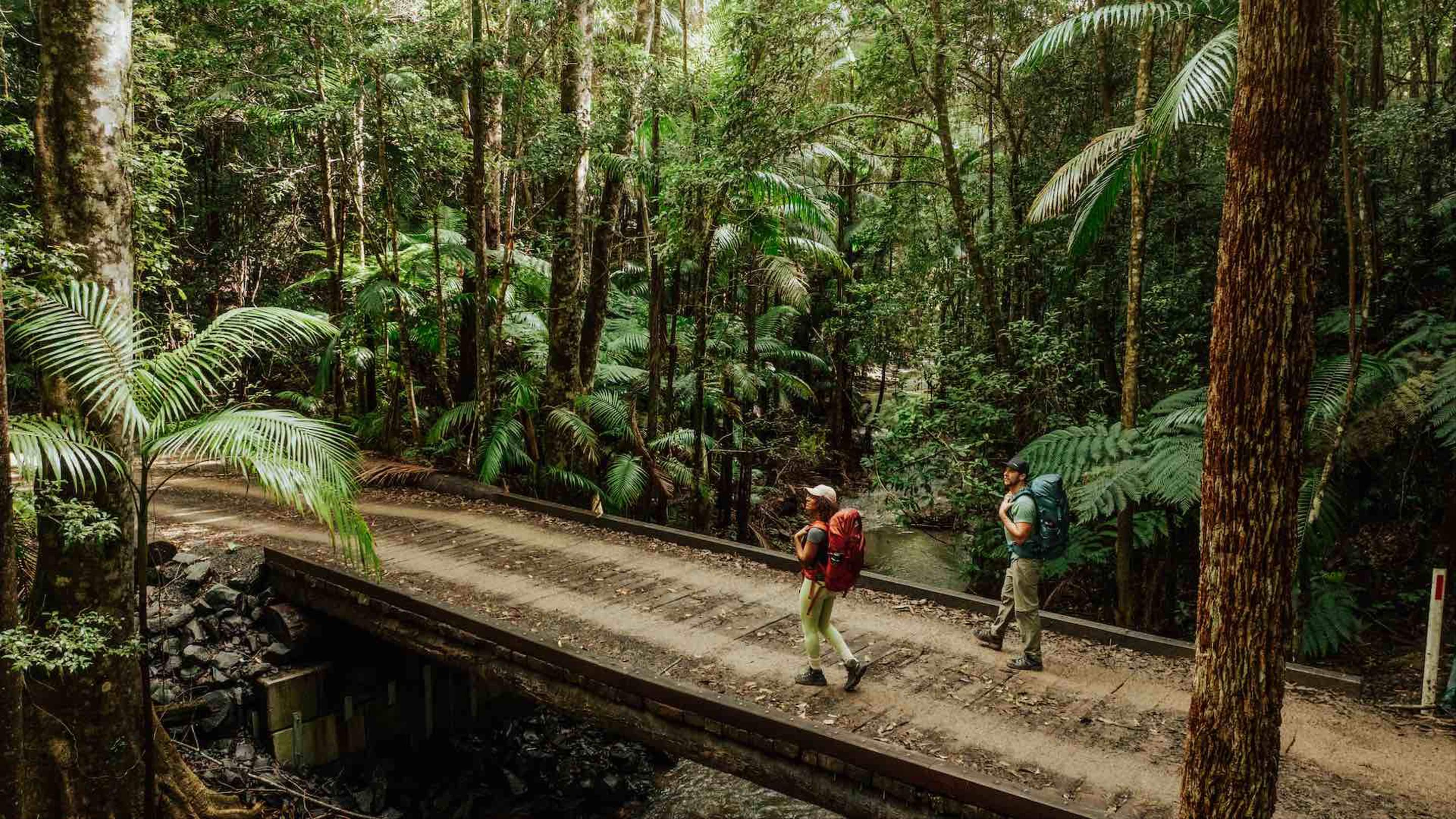 This 42-Kilometre Walking Trail on the NSW North Coast Weaves Through ...