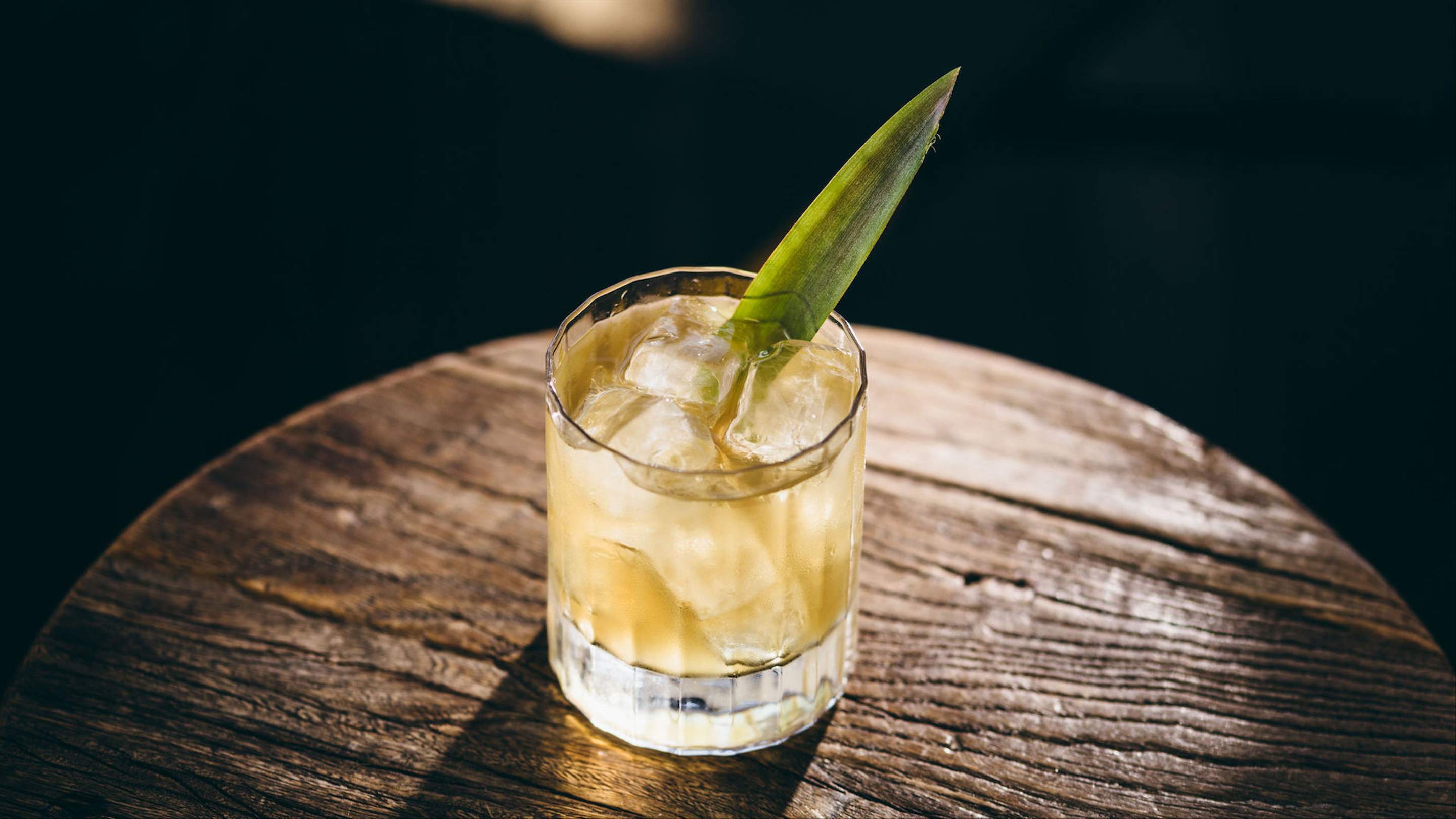 Sunday Sips and Sounds at Henry Deane - Concrete Playground