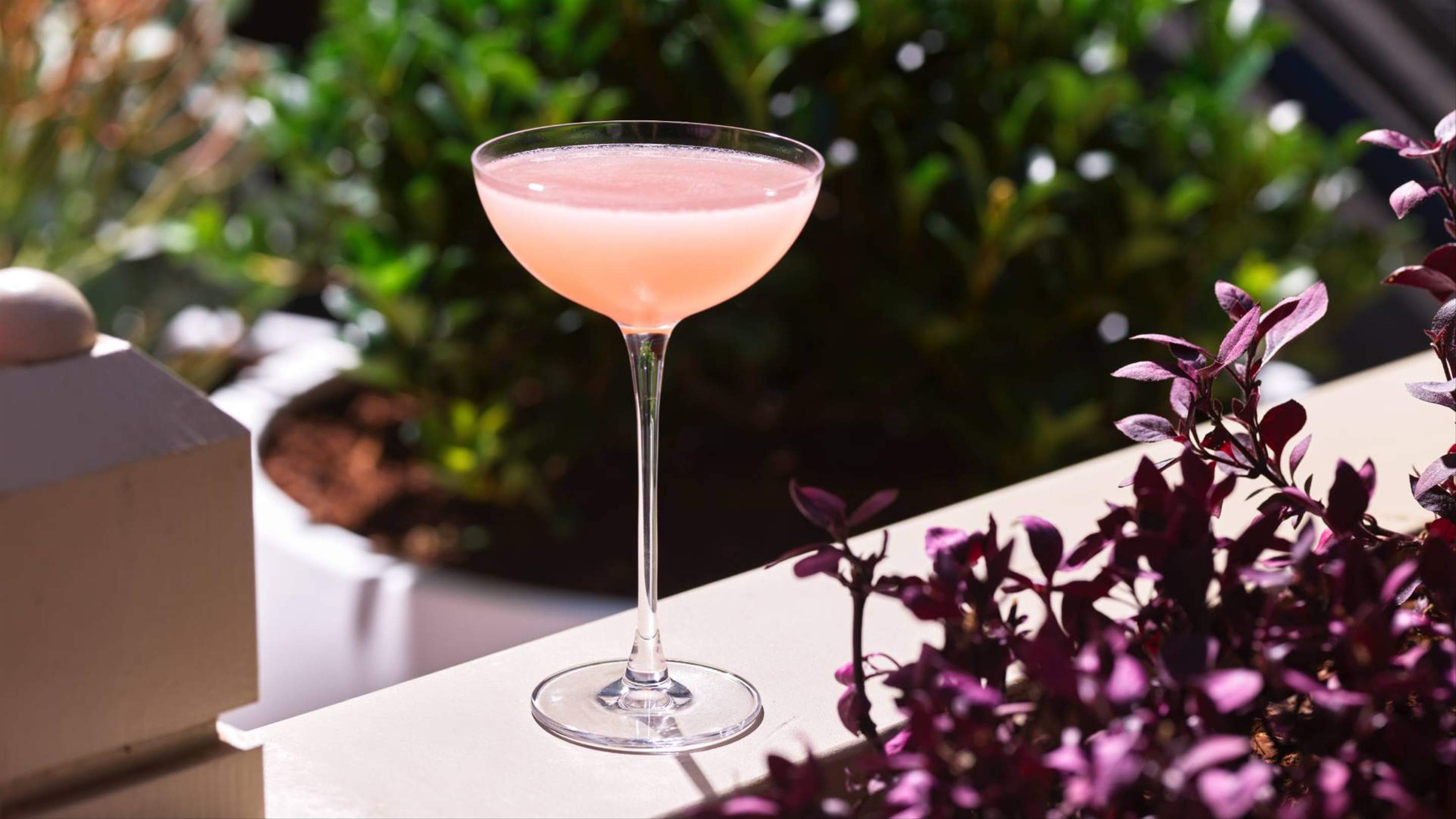 Now Open: The Collective Dining Precinct Has Opened in The Rocks ...