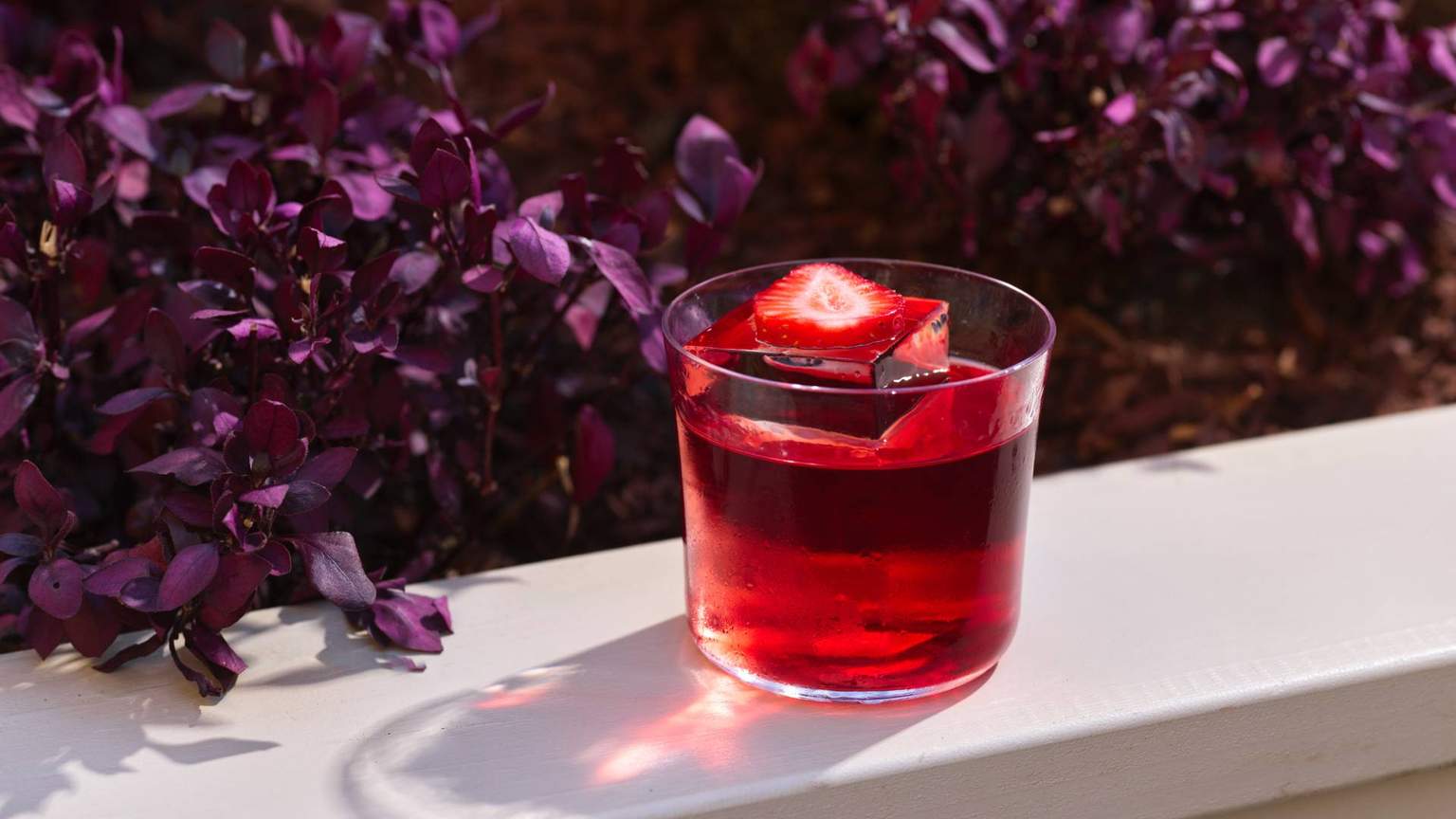 Now Open: The Collective Dining Precinct Has Opened in The Rocks ...