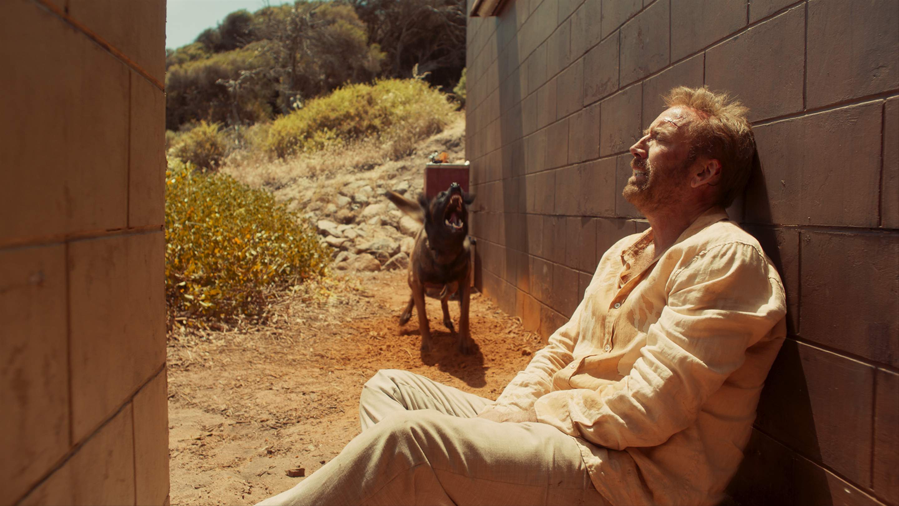 When Nicolas Cage and Ozploitation Combine in a Sun-Scorched ...