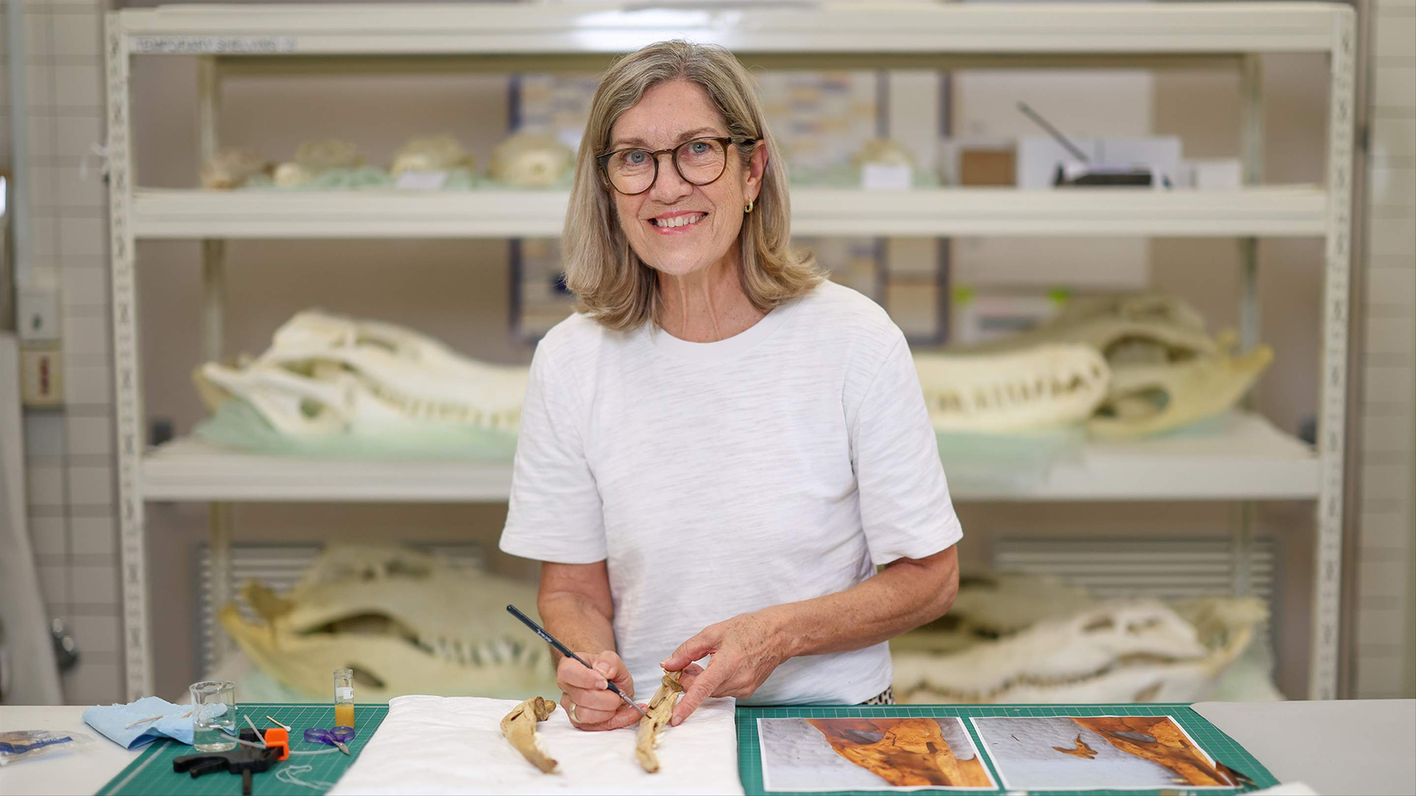 A World-Premiere Exhibition Dedicated to Crocodiles Is Snapping Its Way ...