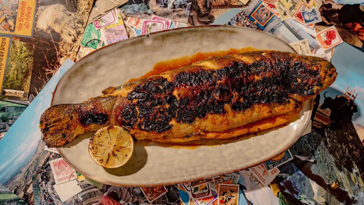 Rasa House, Rose Bay Review