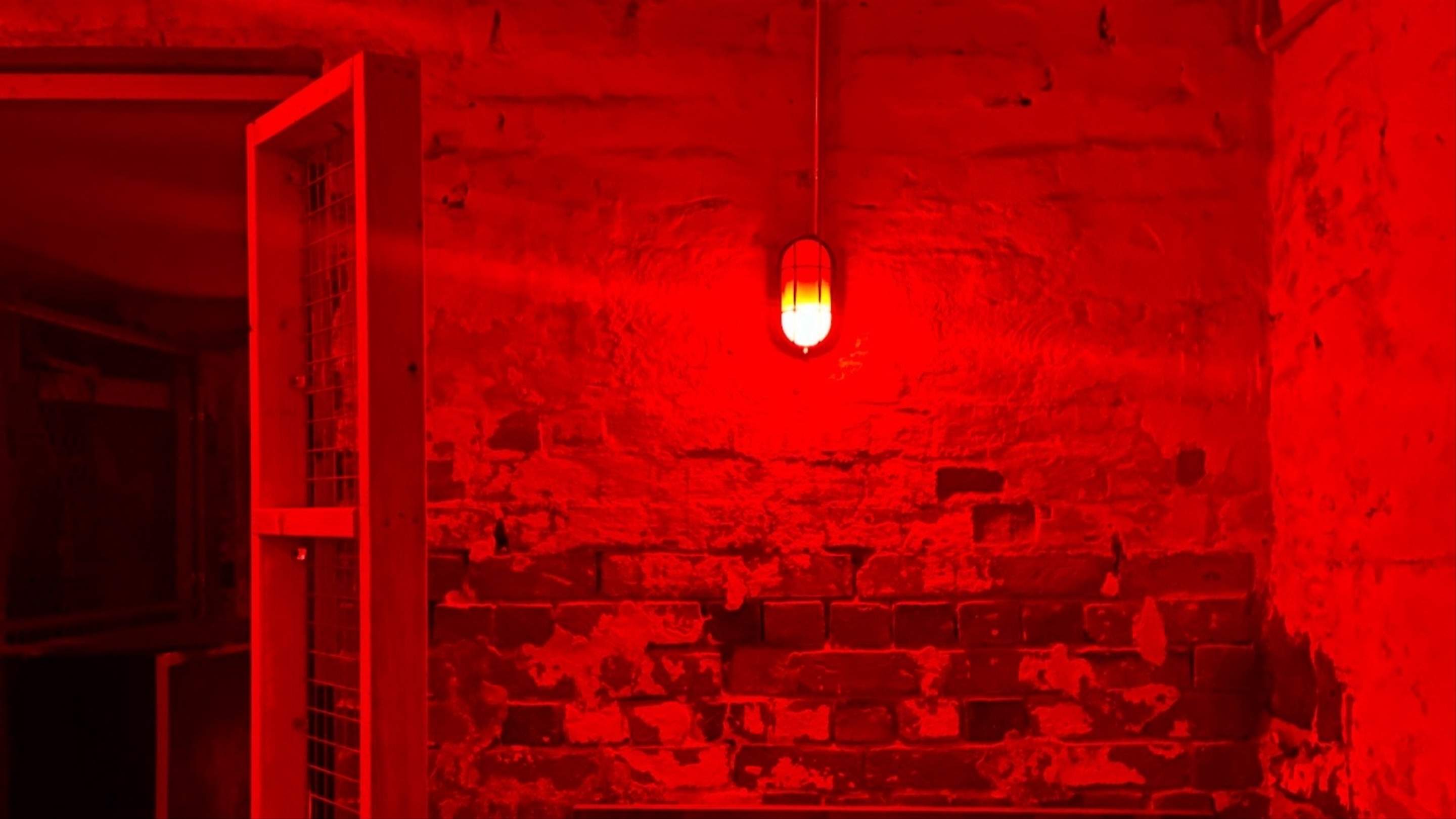 Collingwood's Nightlife Scene Grows, as New Guernica's Owners Launch a ...