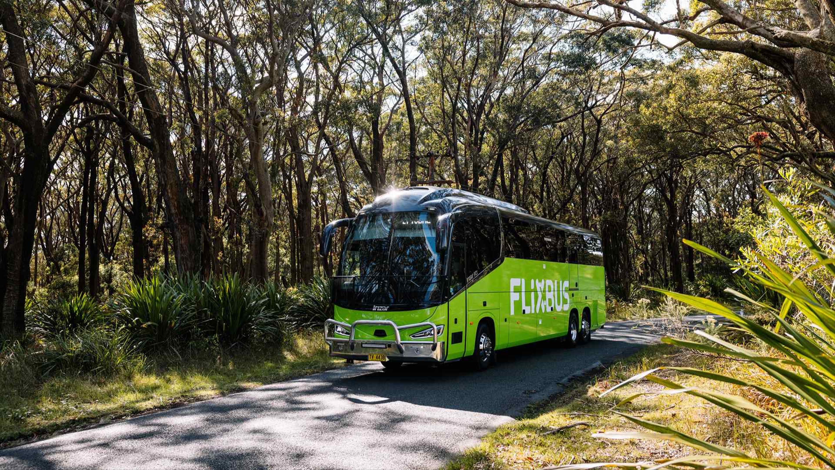 Europe's Budget-Friendly Backpacker Bus Rolls Into Australia, Launching ...