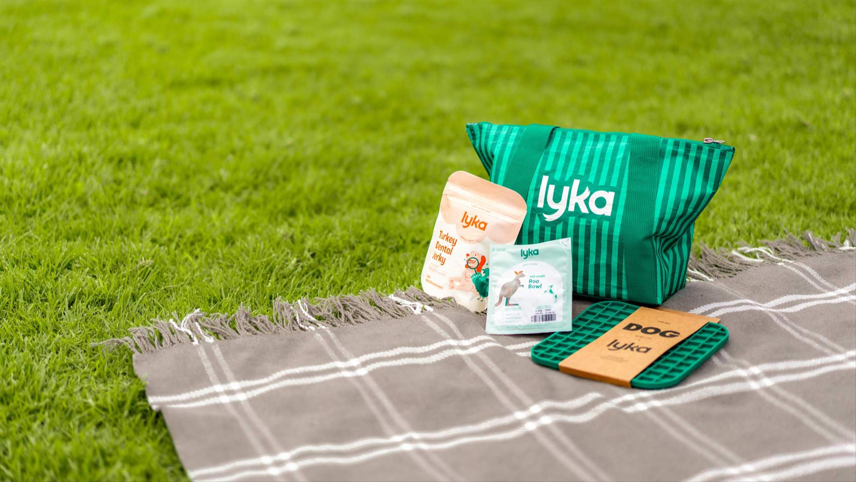 Lyka Doggie Date Night at Moonlight Cinema - Concrete Playground