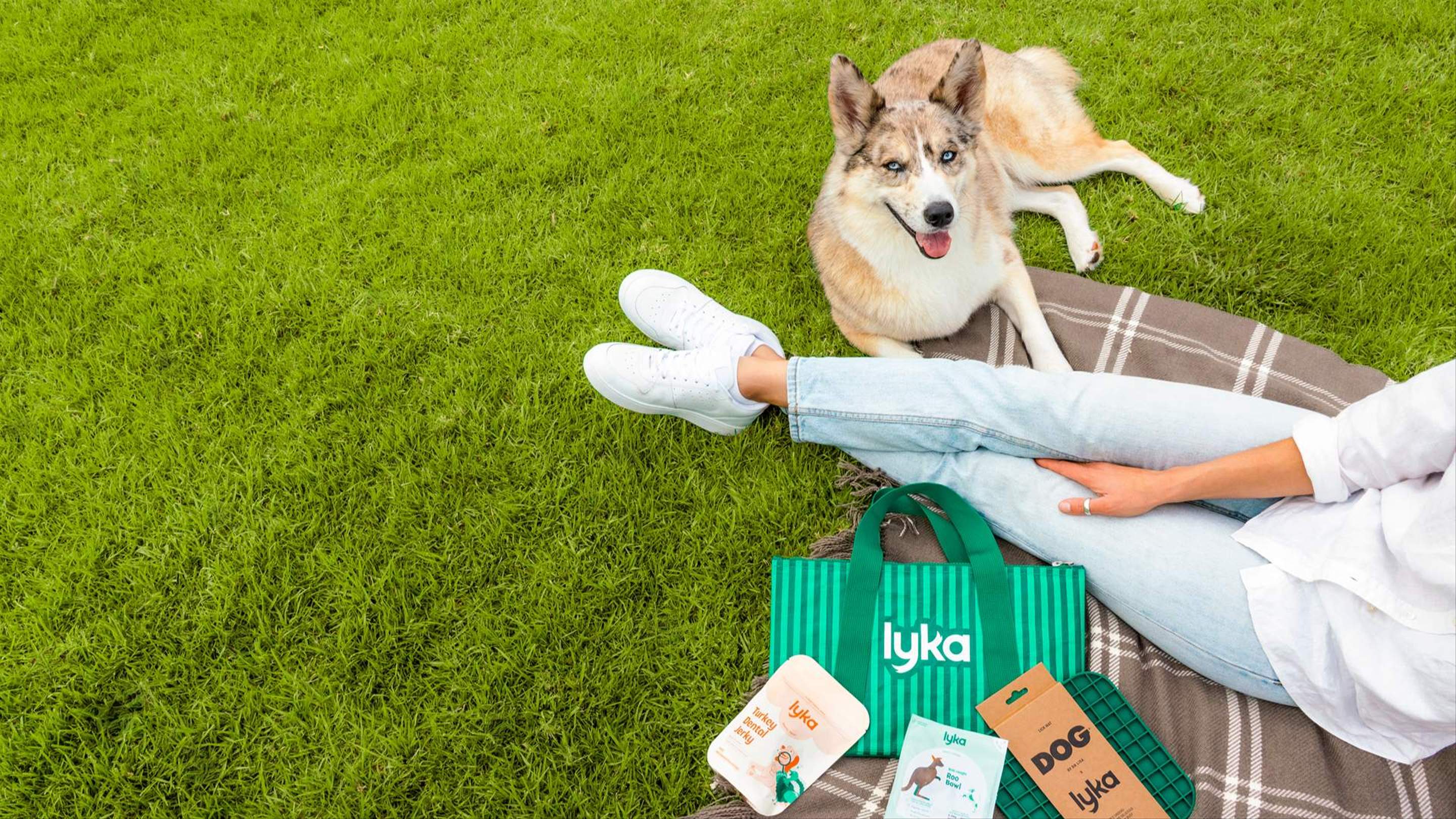 Lyka Doggie Date Night at Moonlight Cinema - Concrete Playground