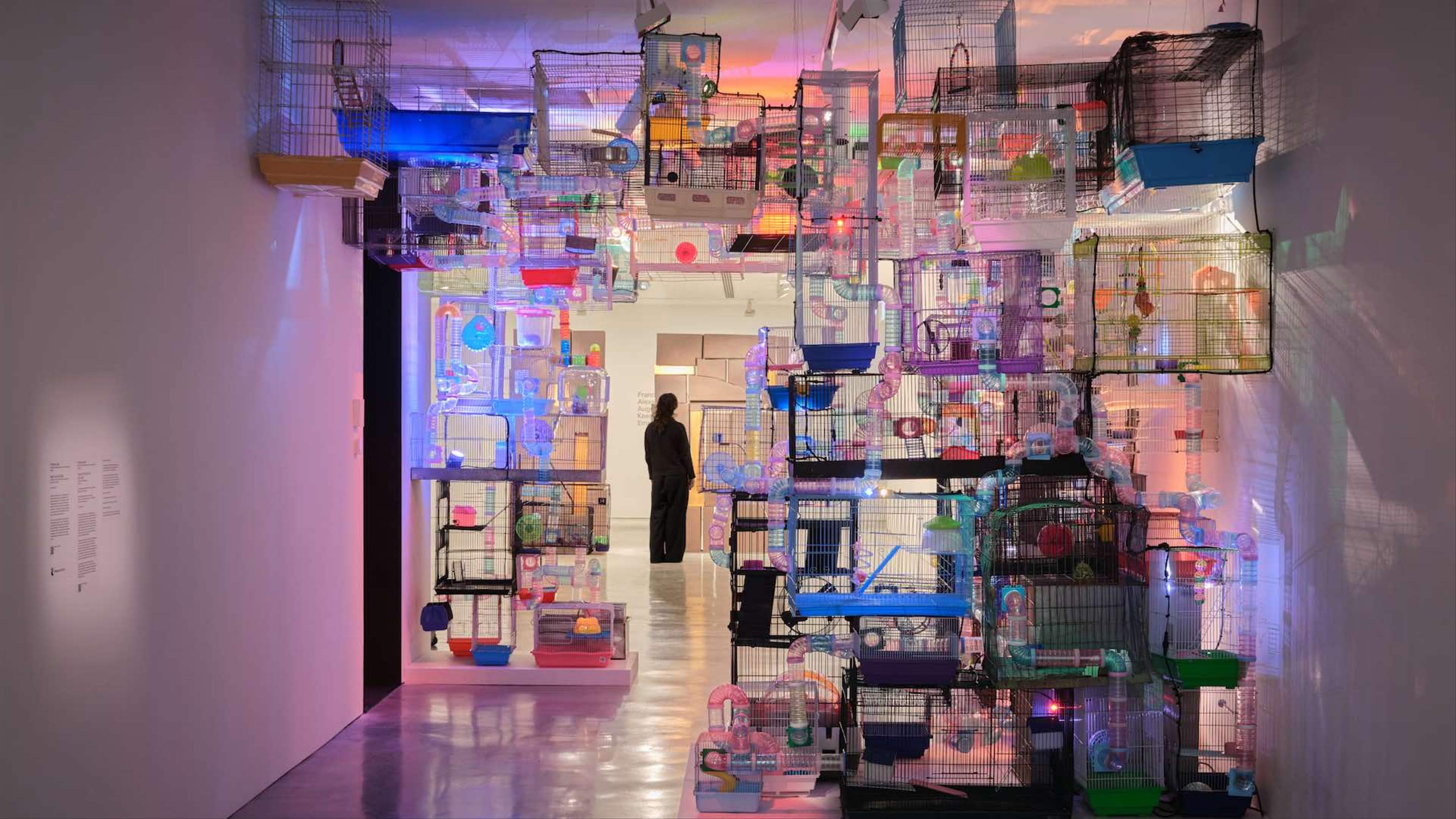 Primavera 2025: Young Australian Artists - Concrete Playground