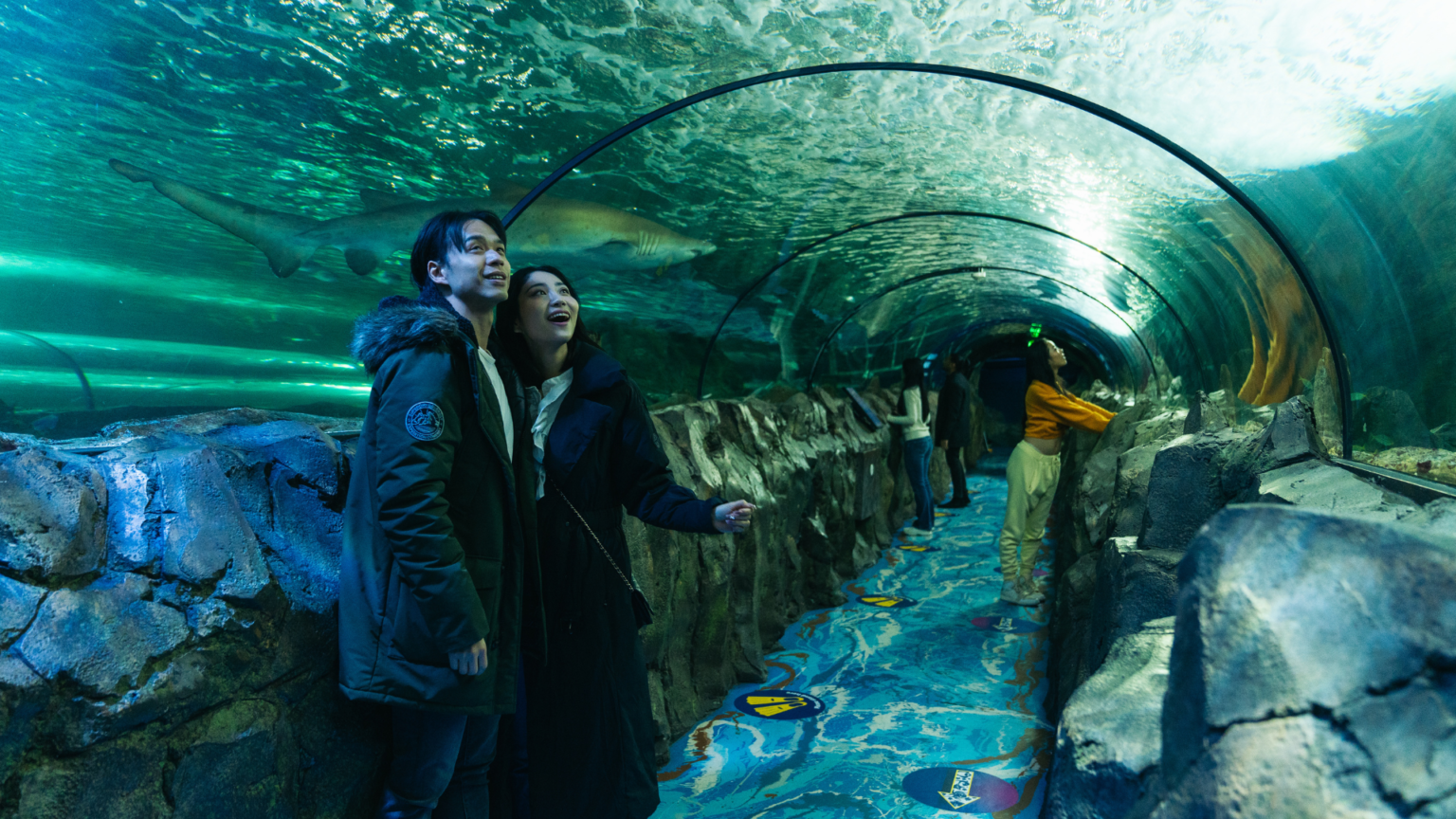Four Sydney Attractions Every Local and Visitor Should Experience