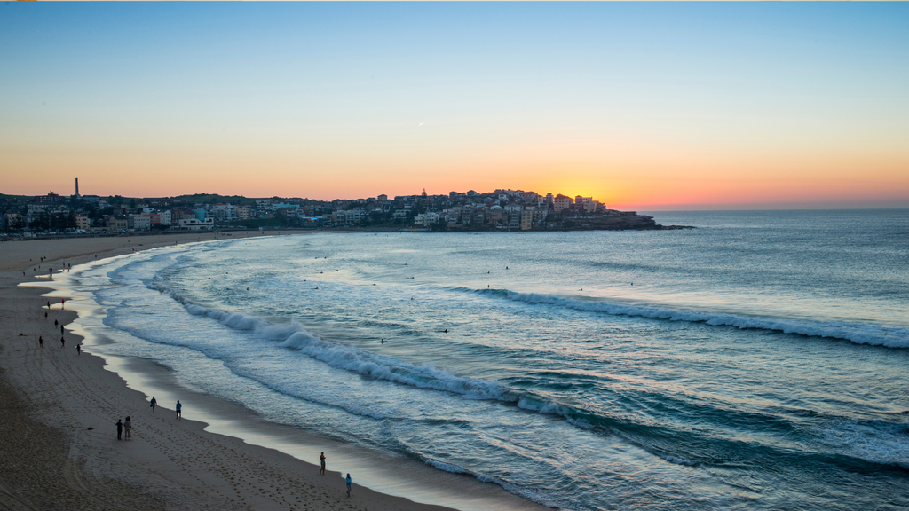 What Early Birds Can Do in Bondi Before, During and After Sunrise ...
