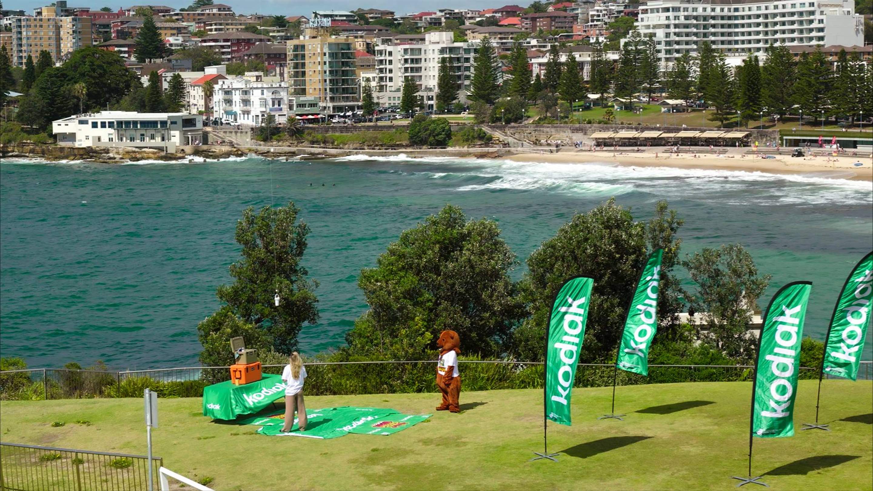 The Kodiak Great Aussie Drop Bear at Coogee Beach