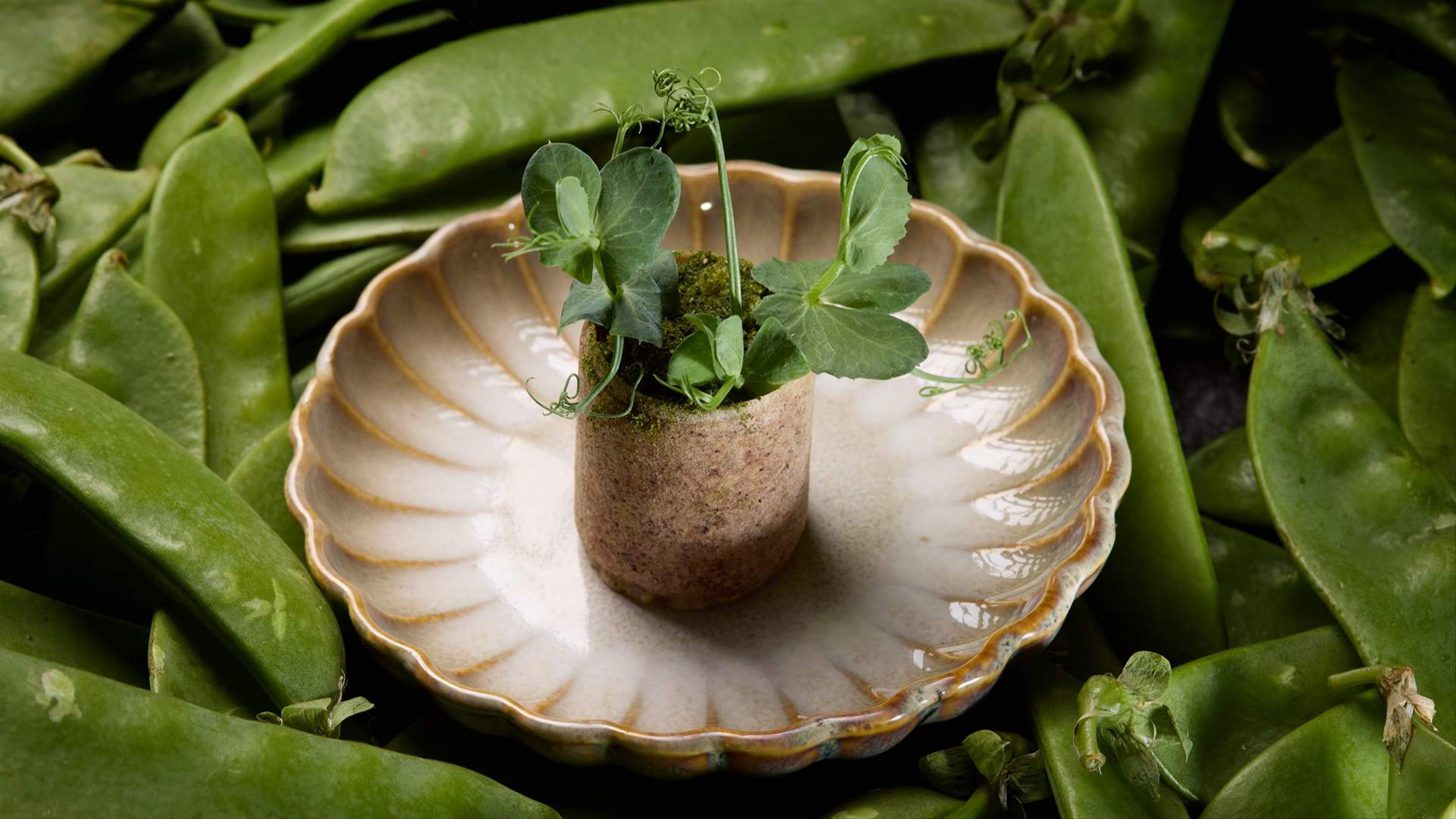 Native Australia Menu at NEL Restaurant