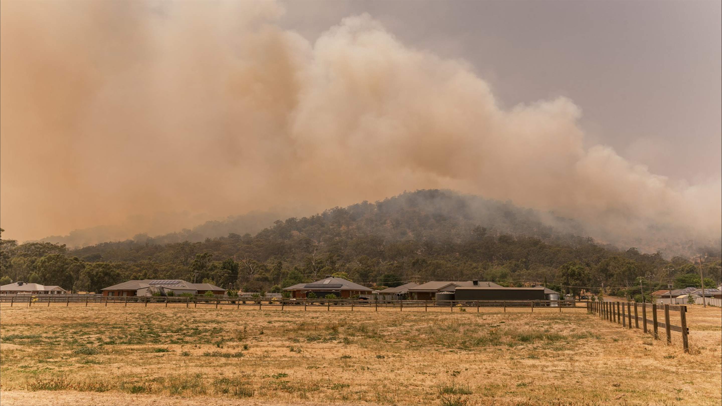 Here's How to Support Victoria's Bushfire-Affected Businesses