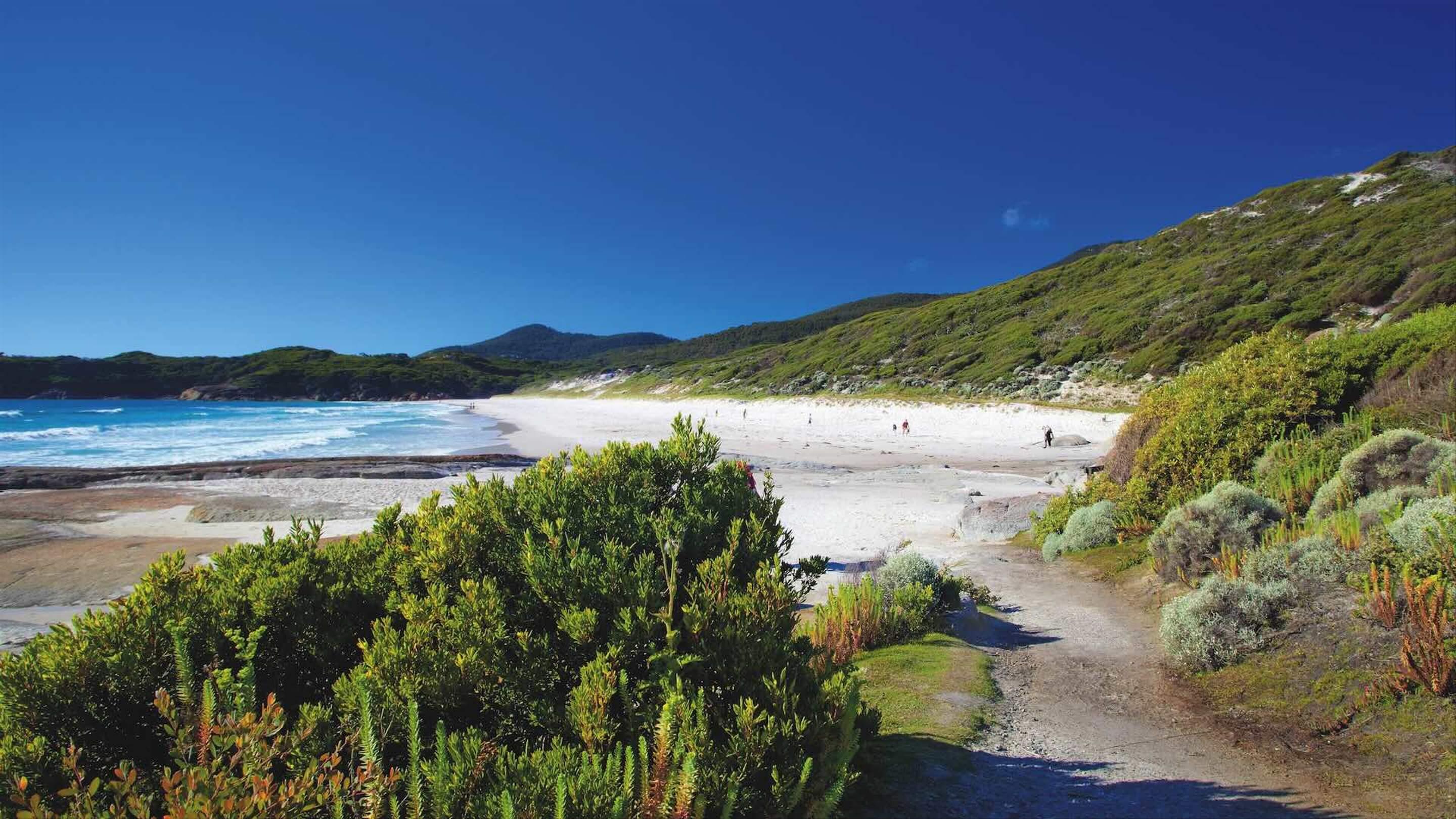 The Best Beaches in Victoria According to Lonely Planet - Concrete ...